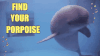 Purpose: Is it Evasive or are We? — Bible and Pop Culture