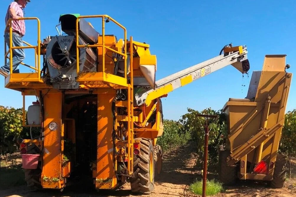 Grape Harvester Sorting System for Sale | Acampo Machine Works