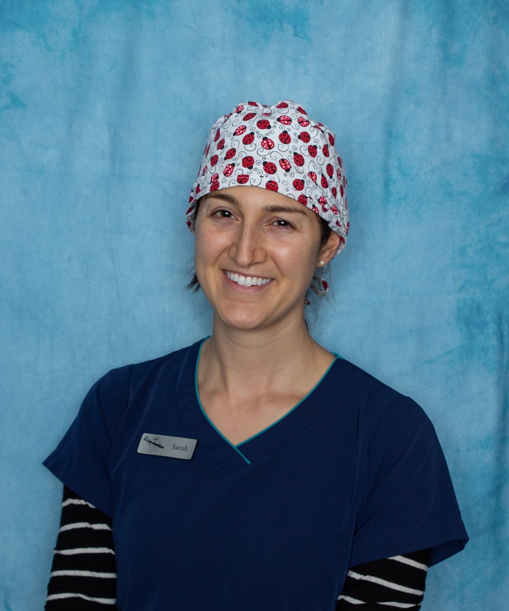 Meet Our Team — Downstream Dental
