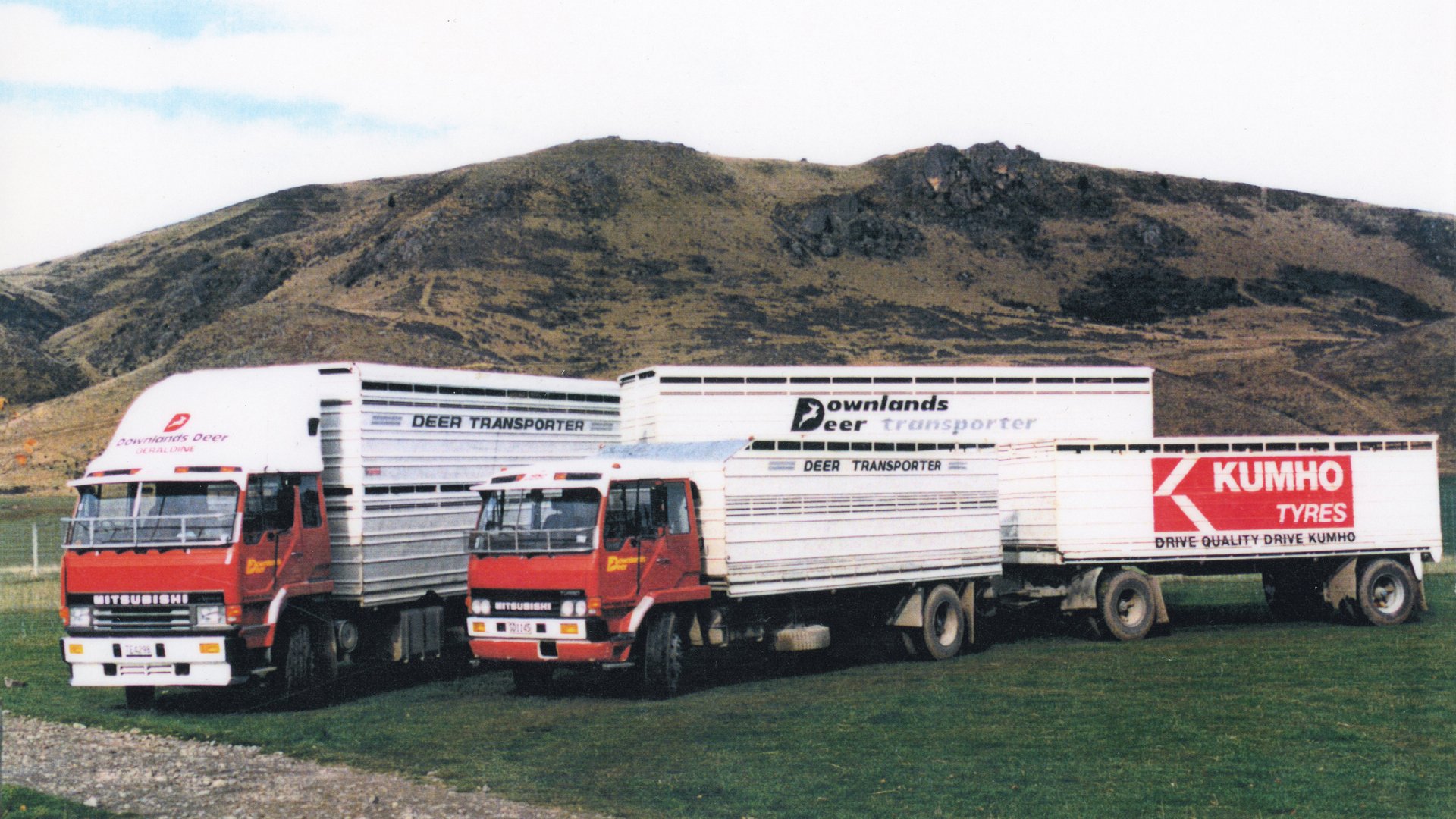 About Downlands | Trusted Livestock Transport Solutions — Downlands Deer