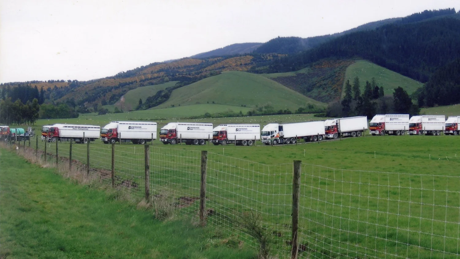 40th year in the livestock transport business — Downlands Deer