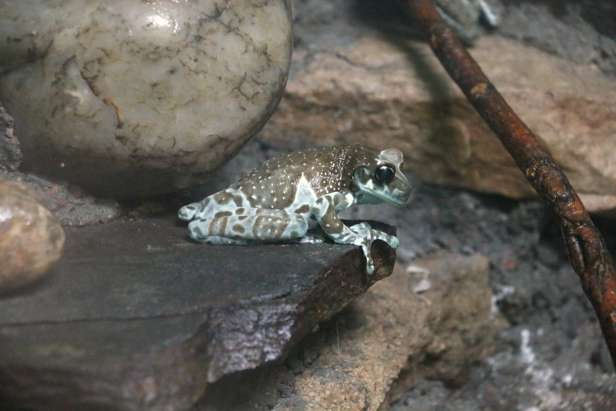 Riverside Discovery Center