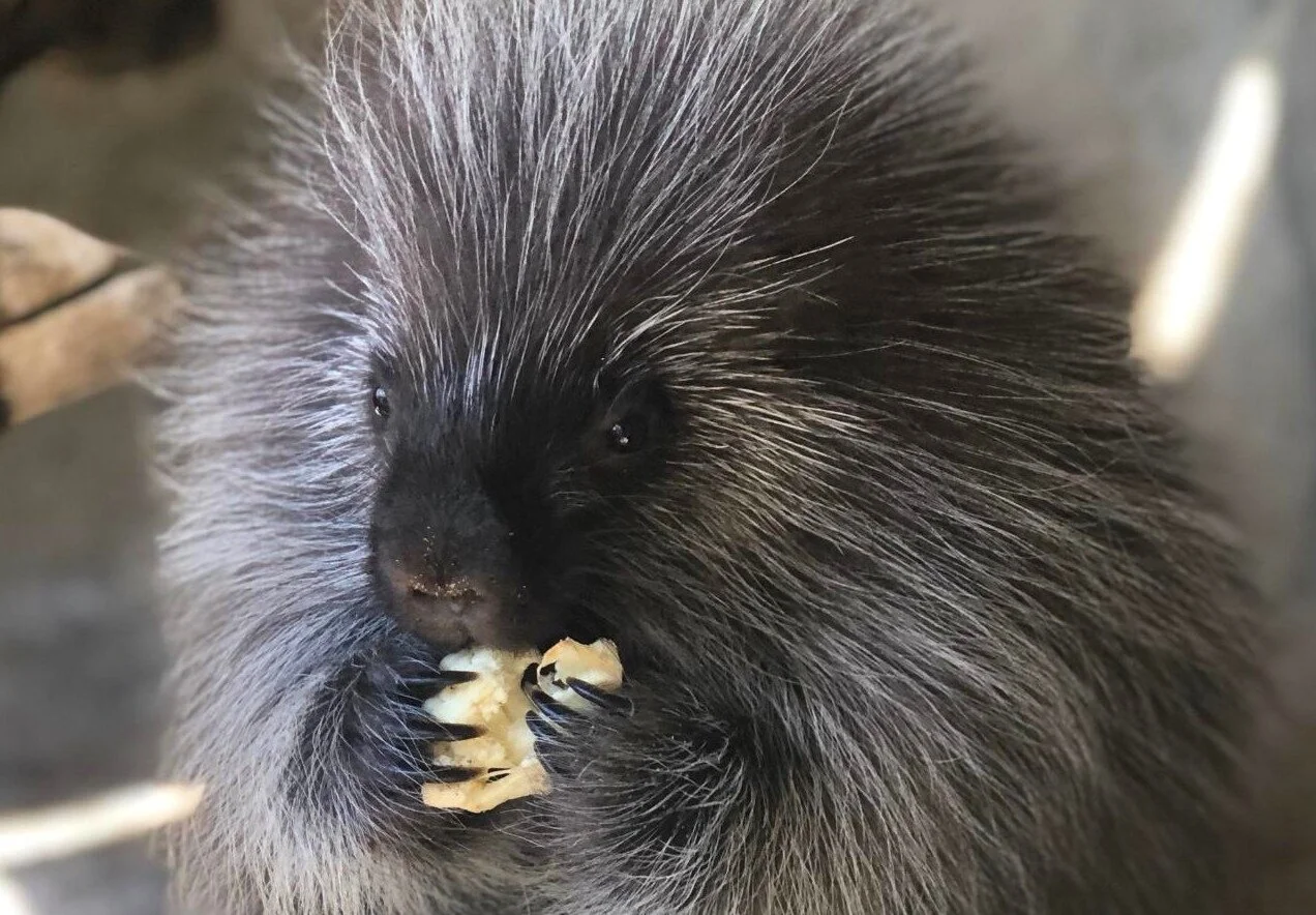 Riverside Discovery Center