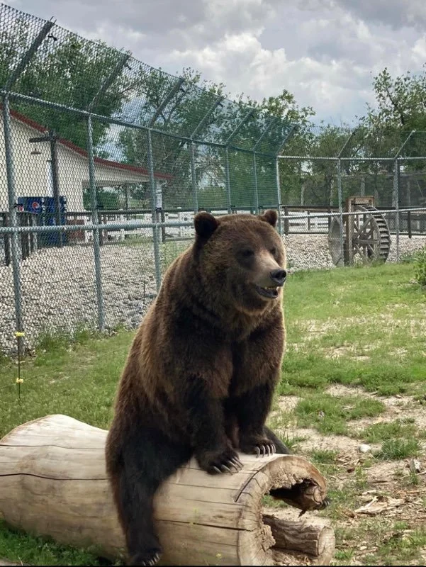 Plan Your Visit — Riverside Discovery Center