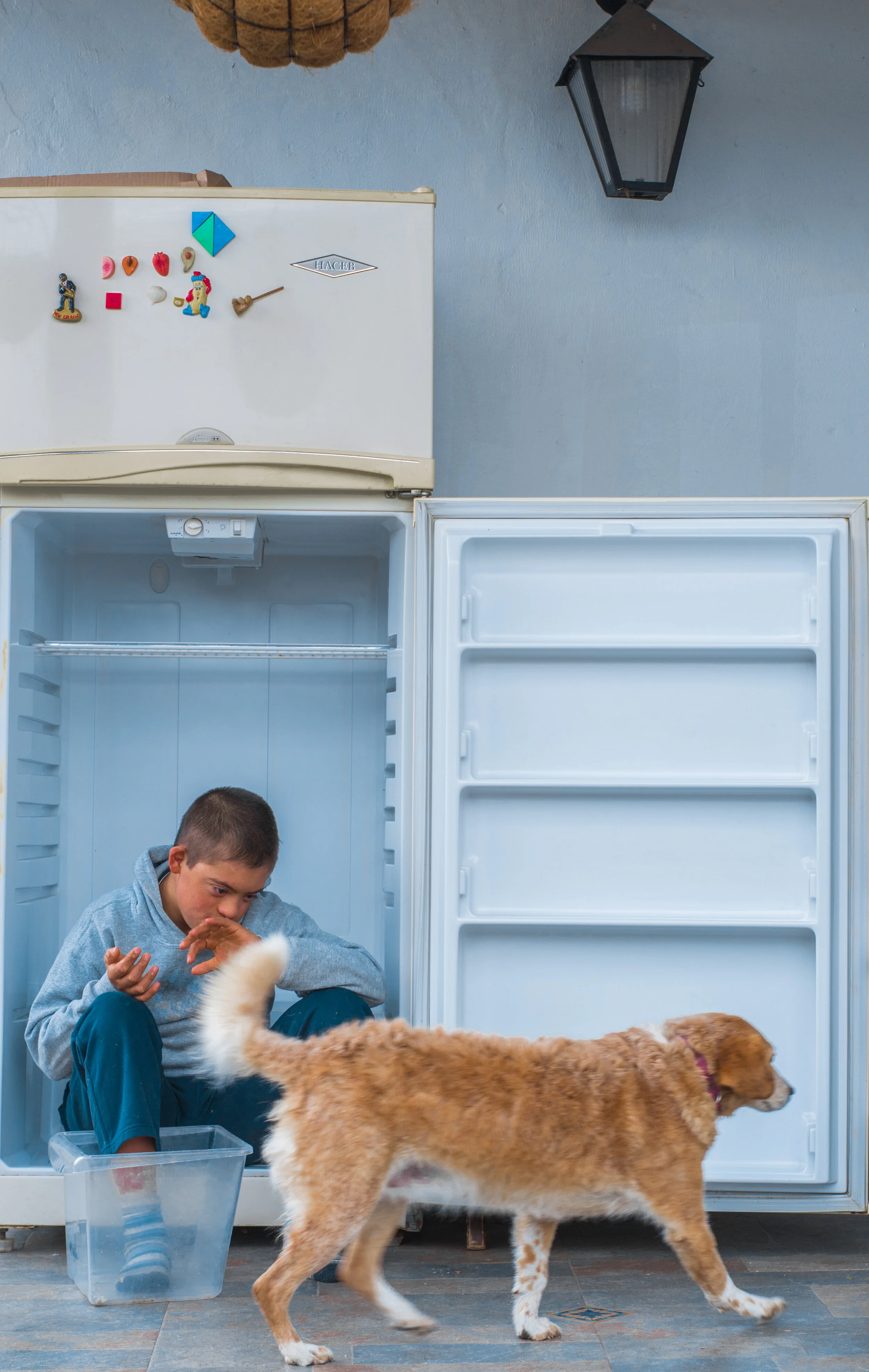 Lock Down Dreams — Reckless Magazine