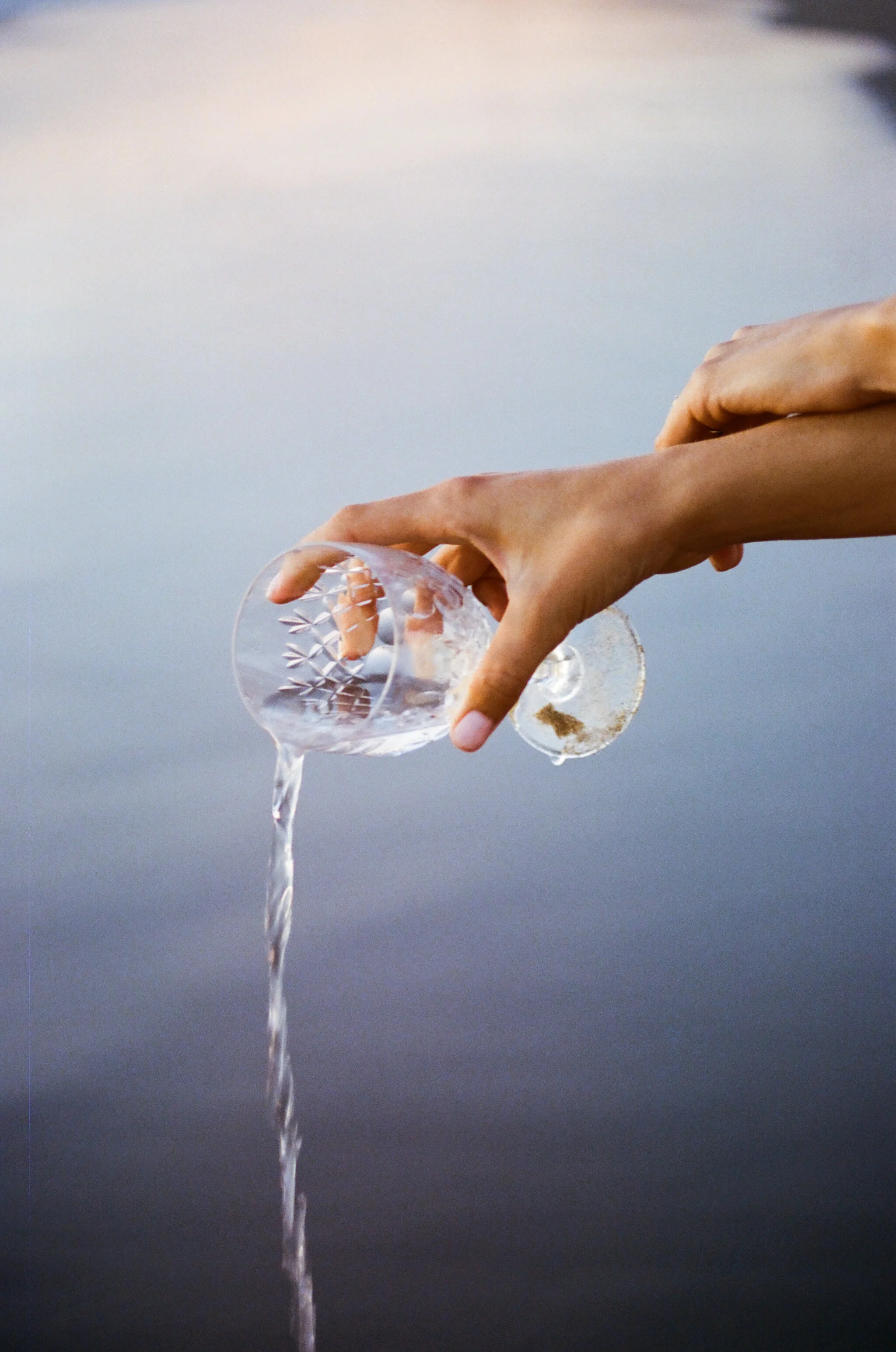 Vulnerable Aesthetics — Reckless Magazine