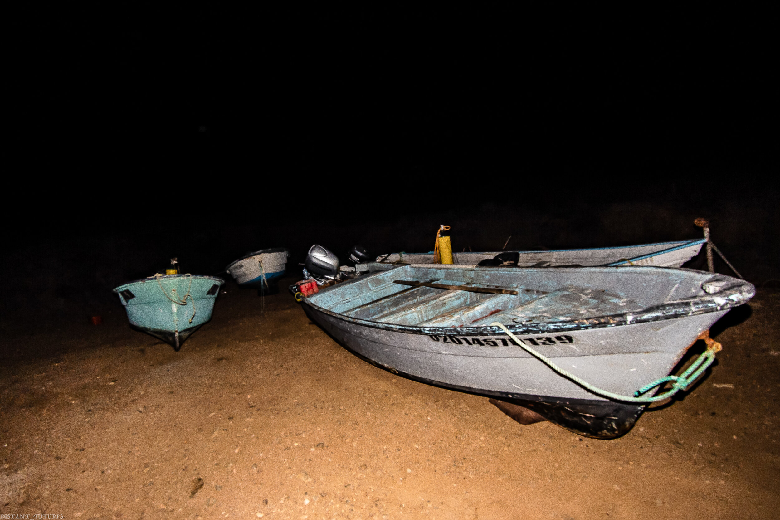 Wave Quest — Reckless Magazine