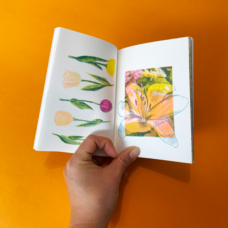 Riso Pop Shop — Riso Pop