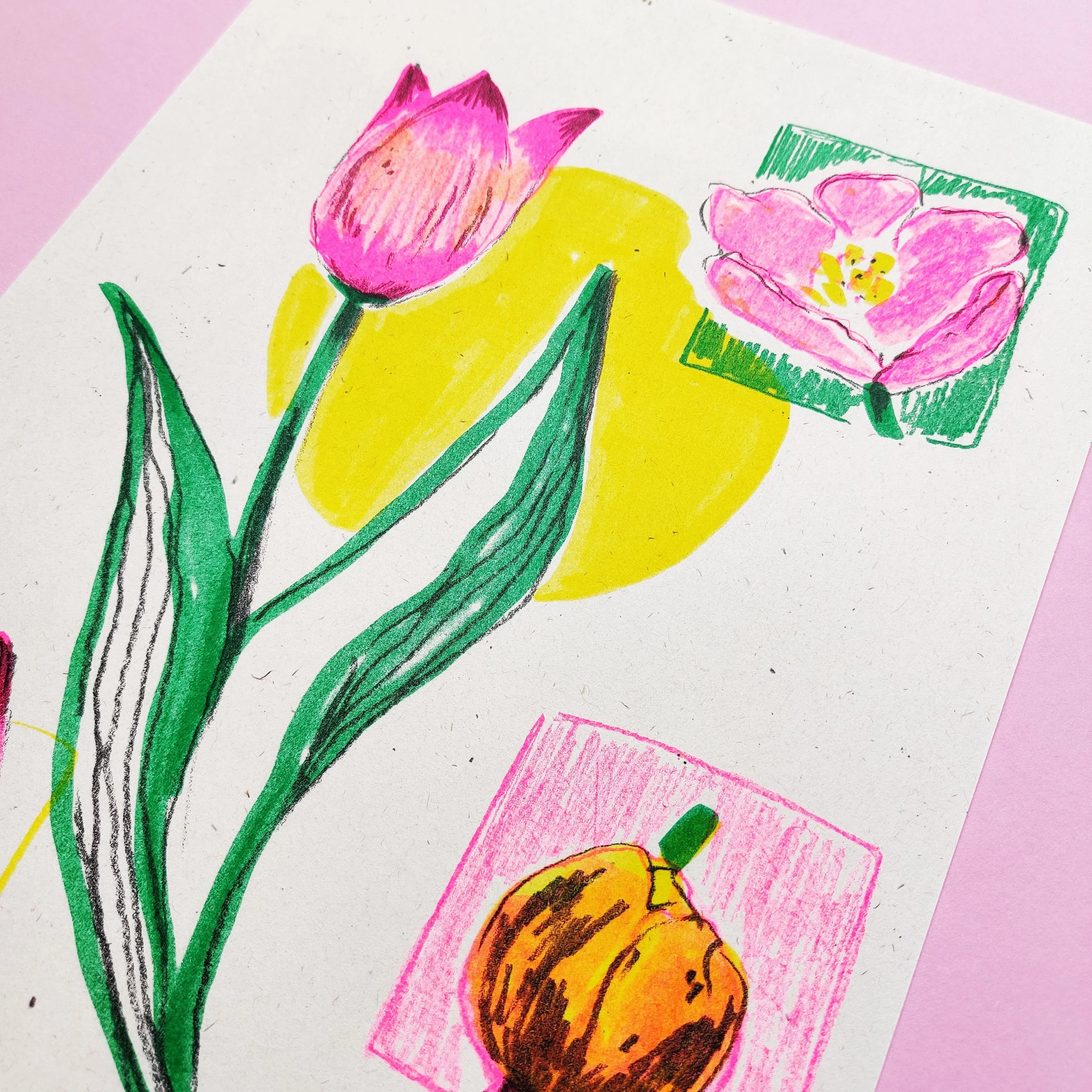 Riso Pop Shop — Riso Pop