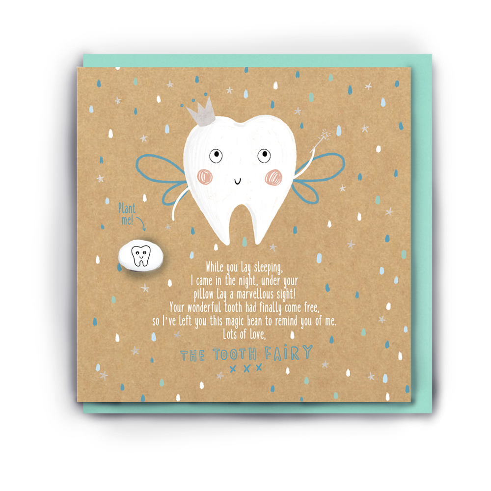 Tooth Fairy Certificate For Boys