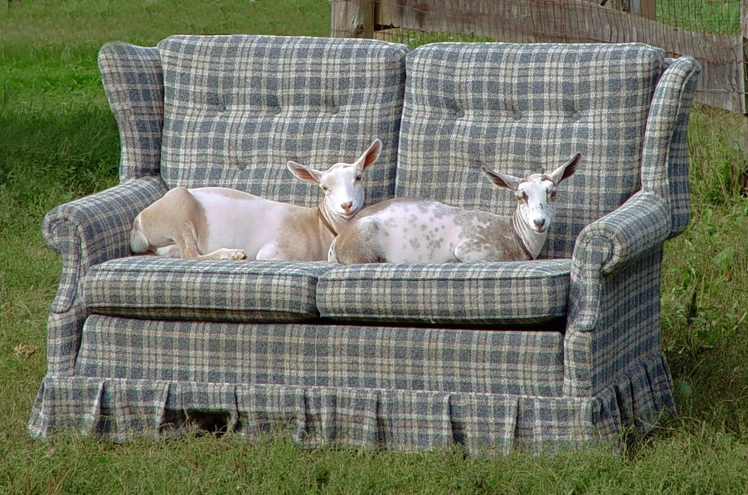 Our Favorite Links — Old Mountain Farm