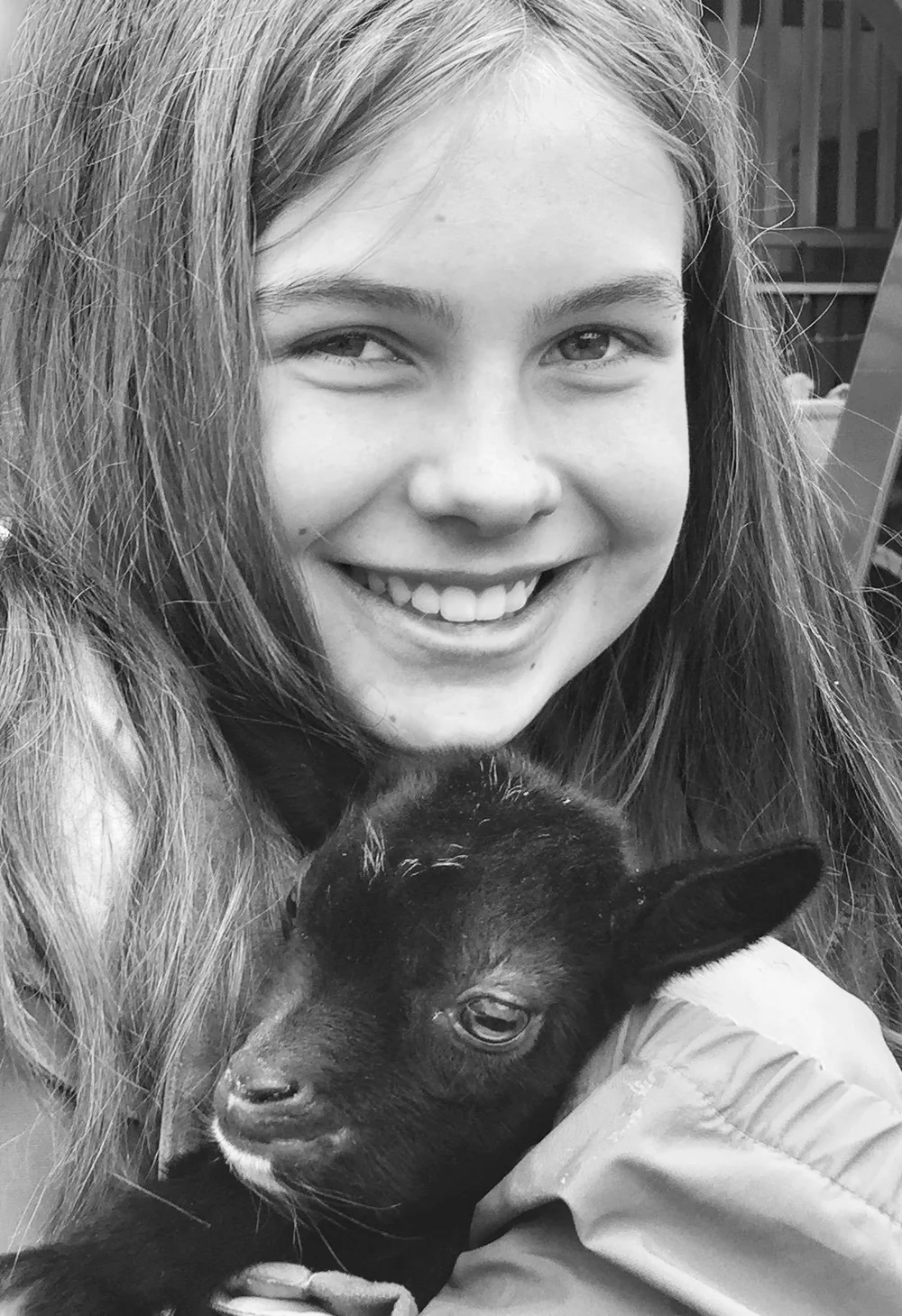 Old Mountain Farm Got Milk? — Old Mountain Farm