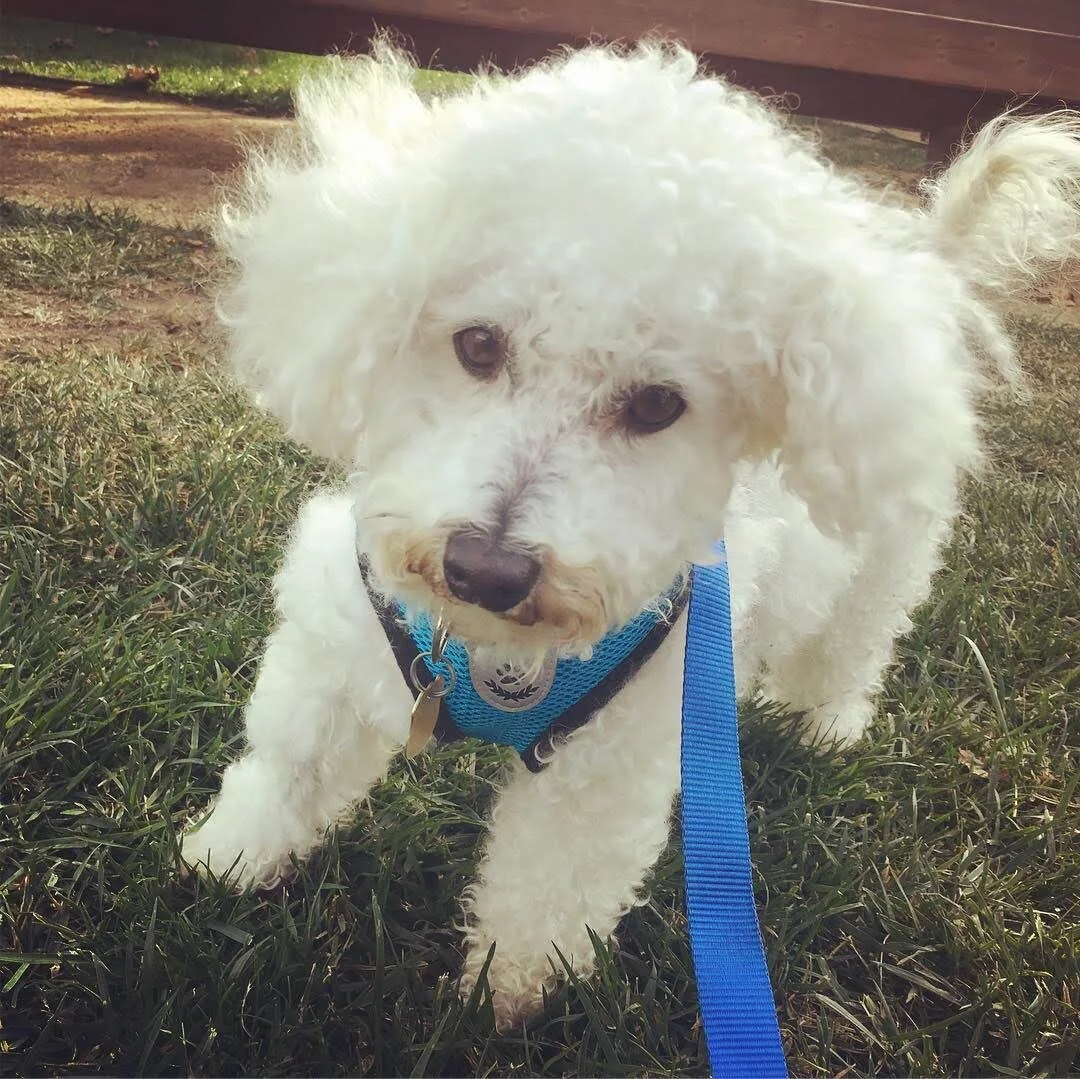 Helping animals helps us all.