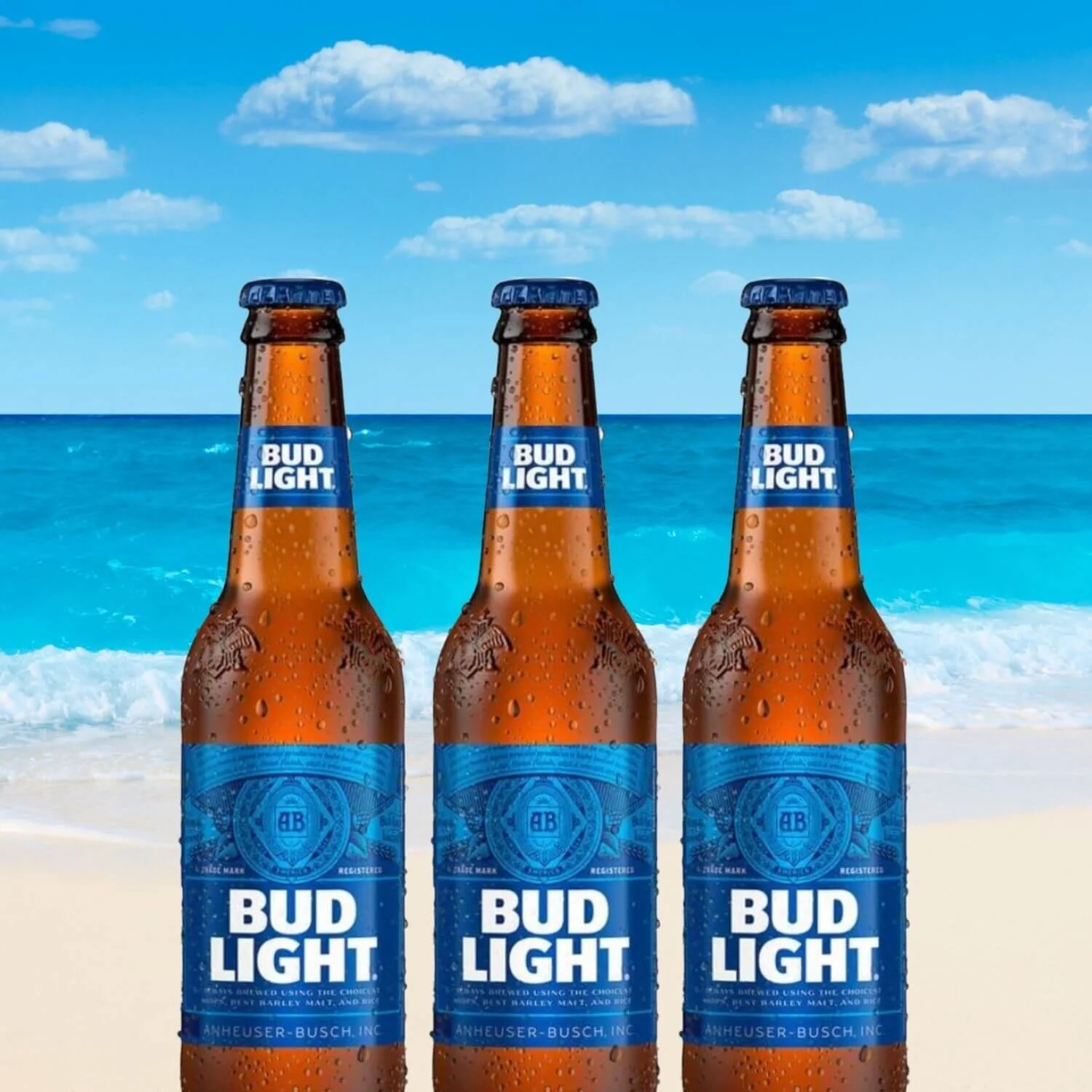 Beer Near Me Beer Near Me