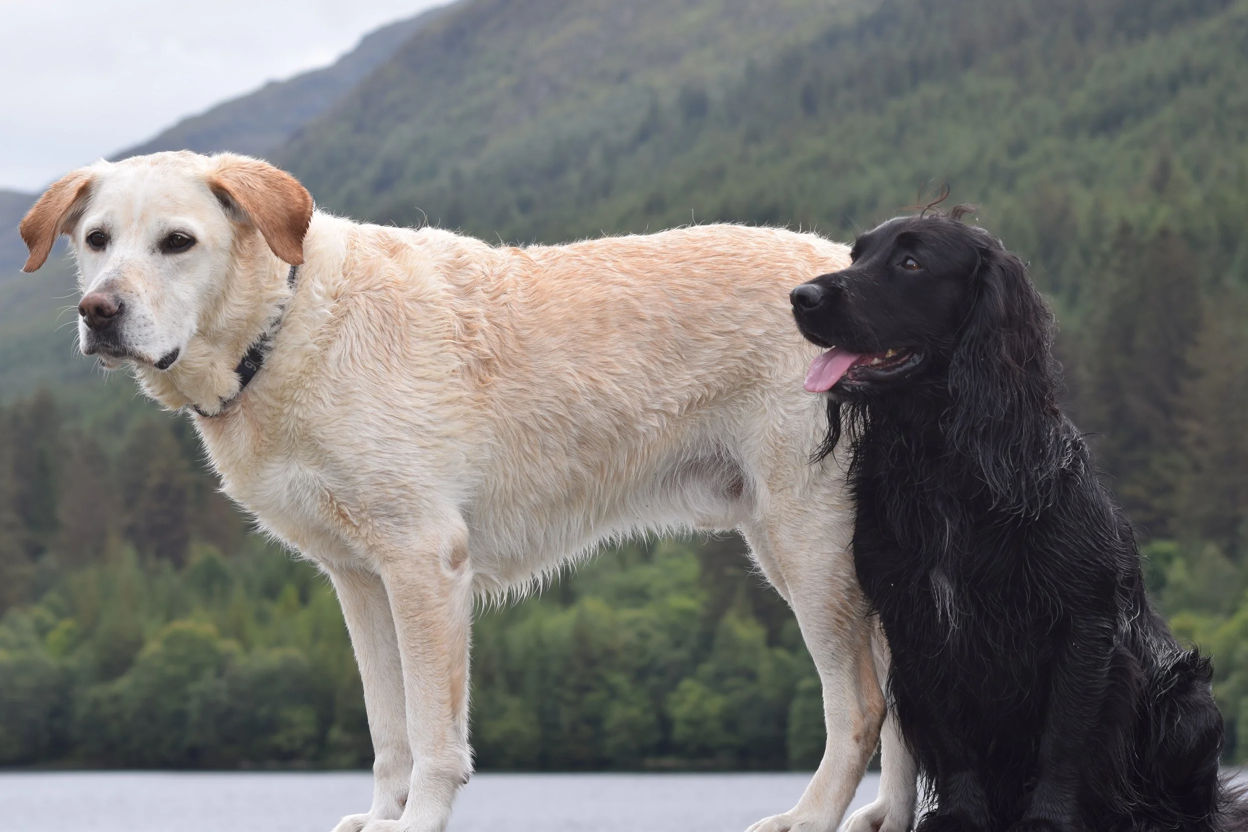 Resources — ACG Accounting Services