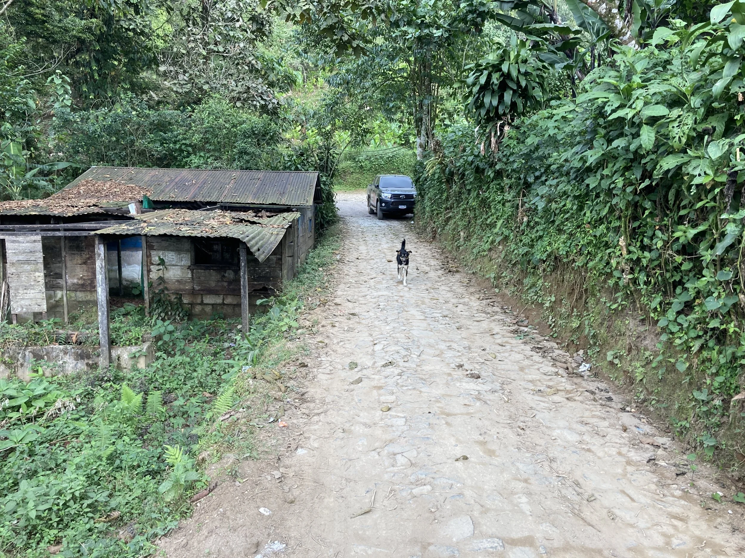 Master StoveBuilders — StoveTeam International