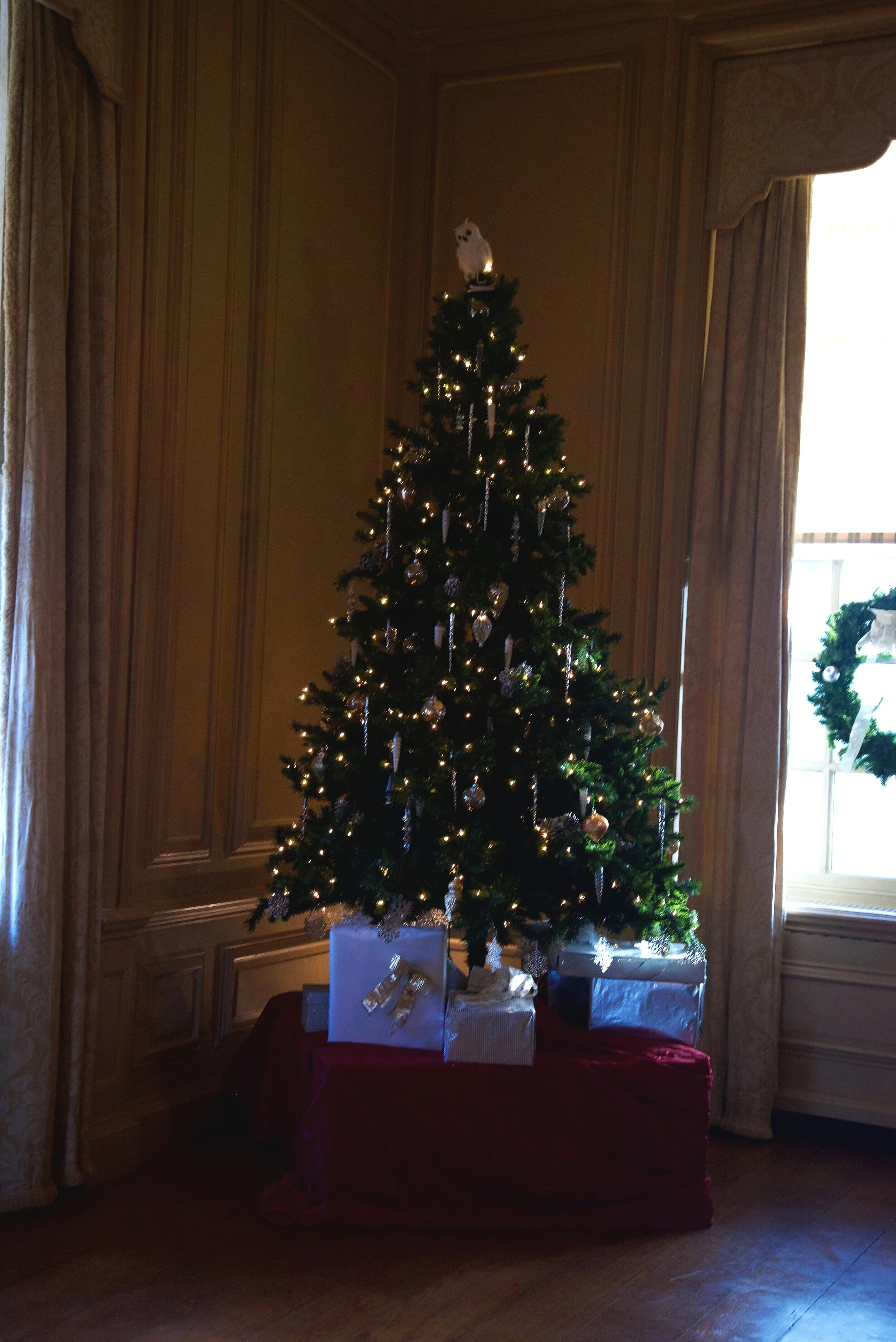 Christmas with the Cranes — Isabella & Jacques