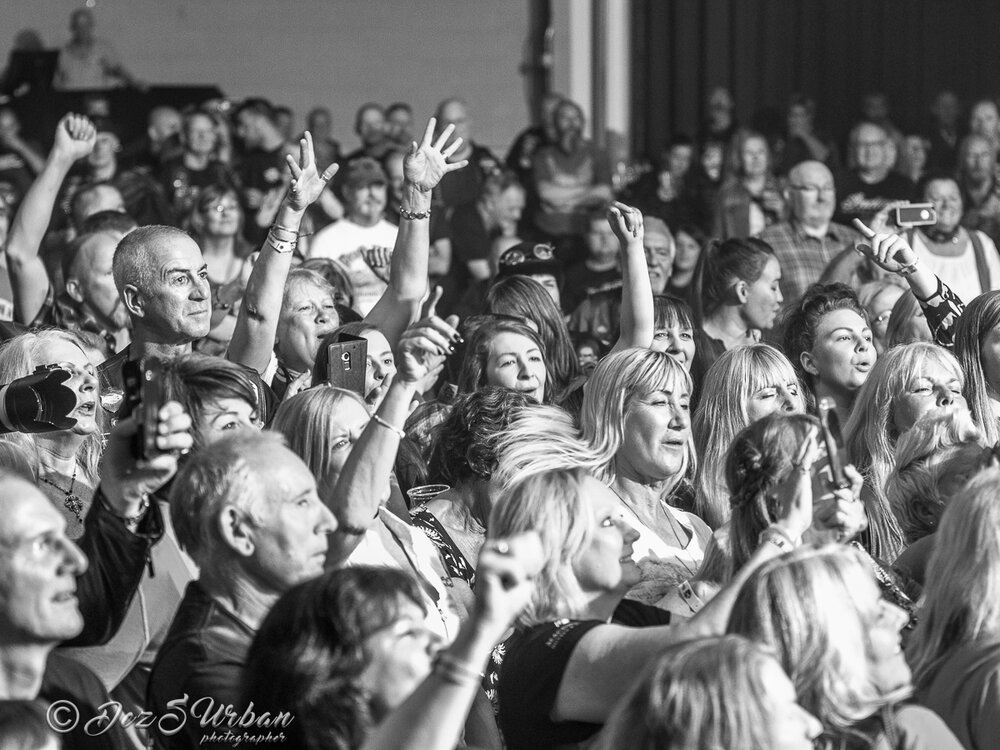 Dunedin Chapter Scotland HOG #9083