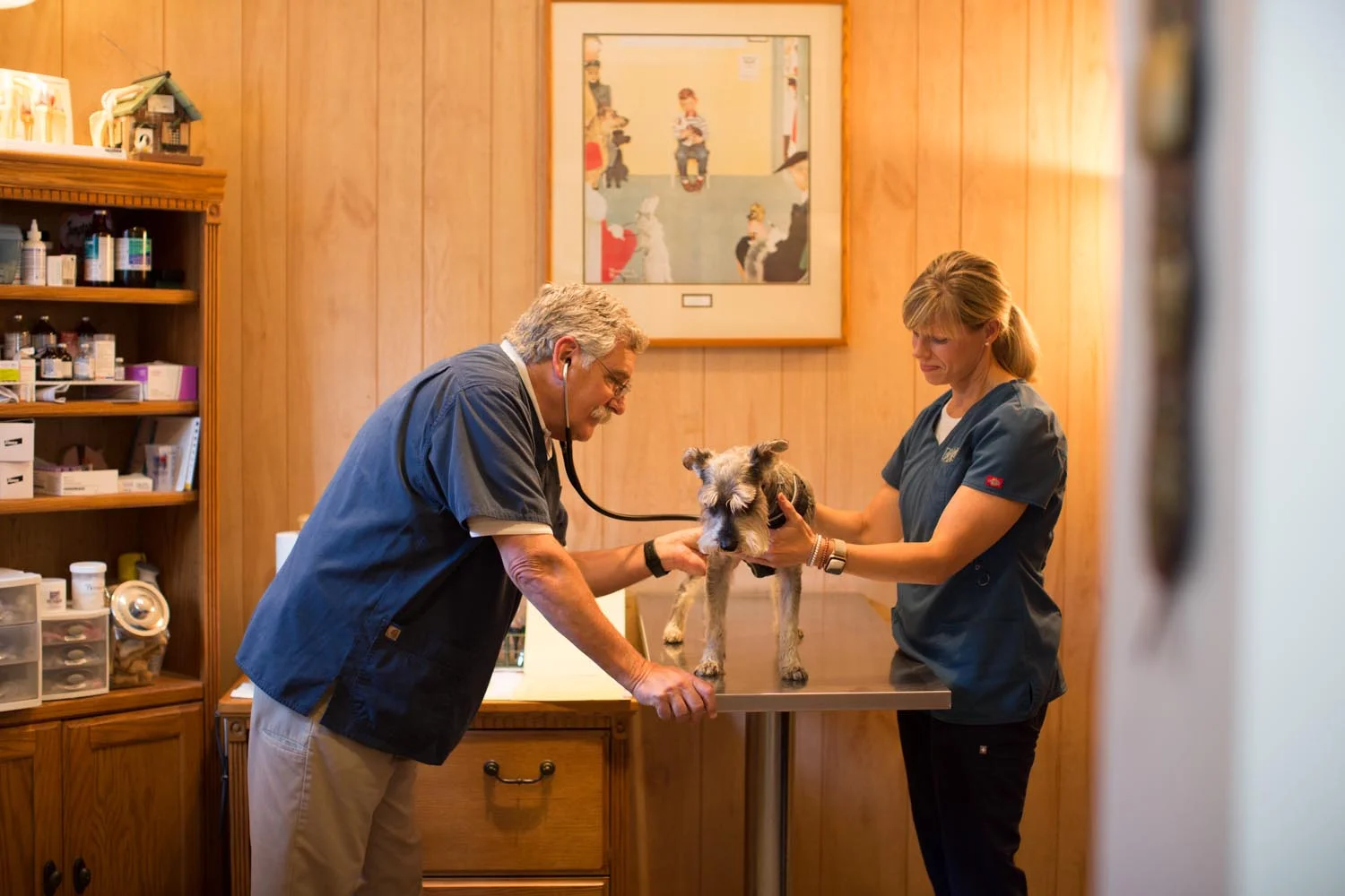 Services — Davidsonville Veterinary Clinic