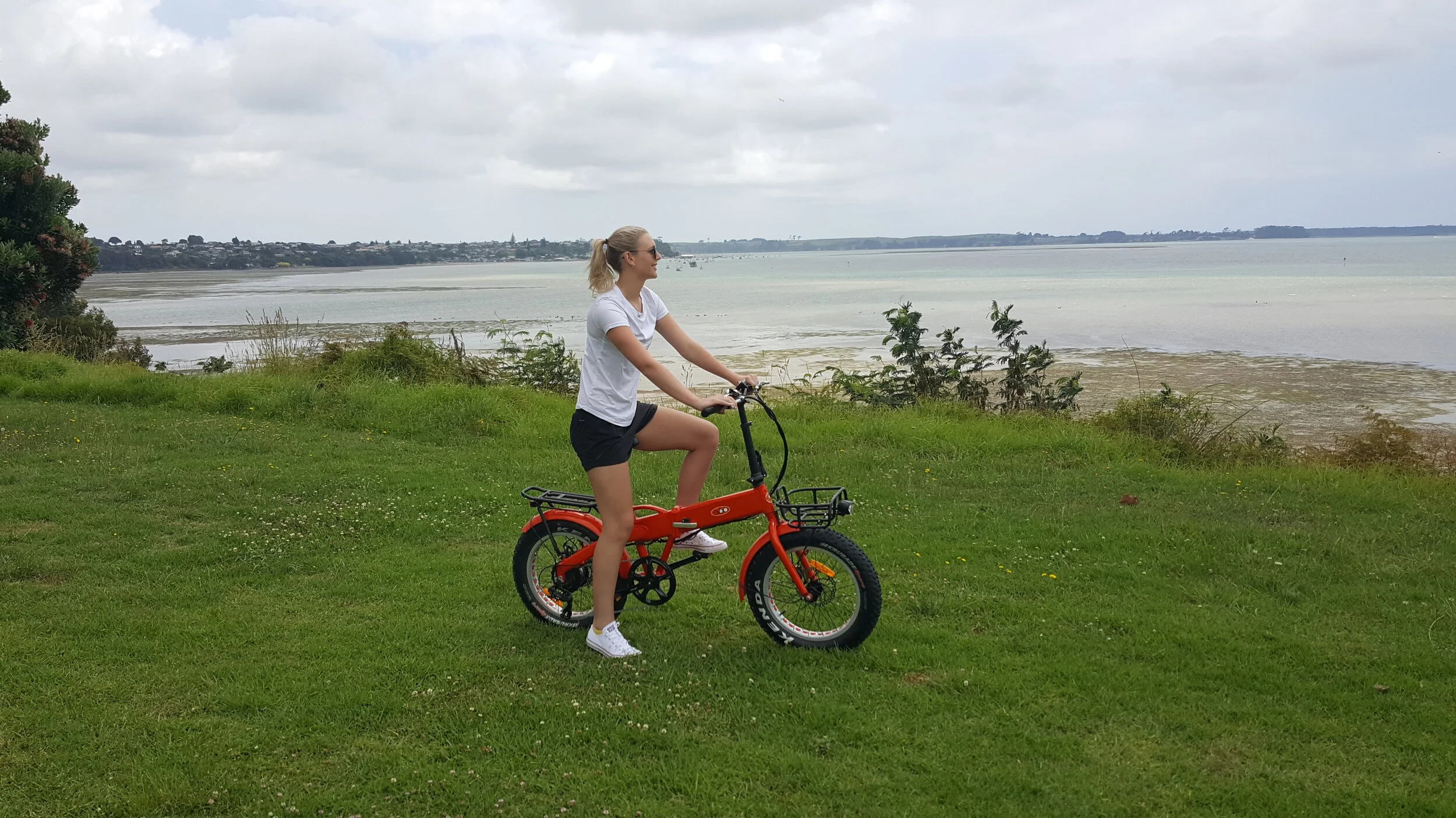 EBO Electric Bikes