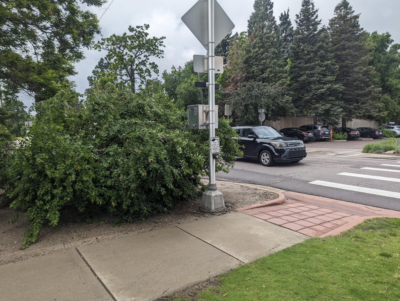 Crosswalks: Improving Safety through Urban Design — The BYU Design Review