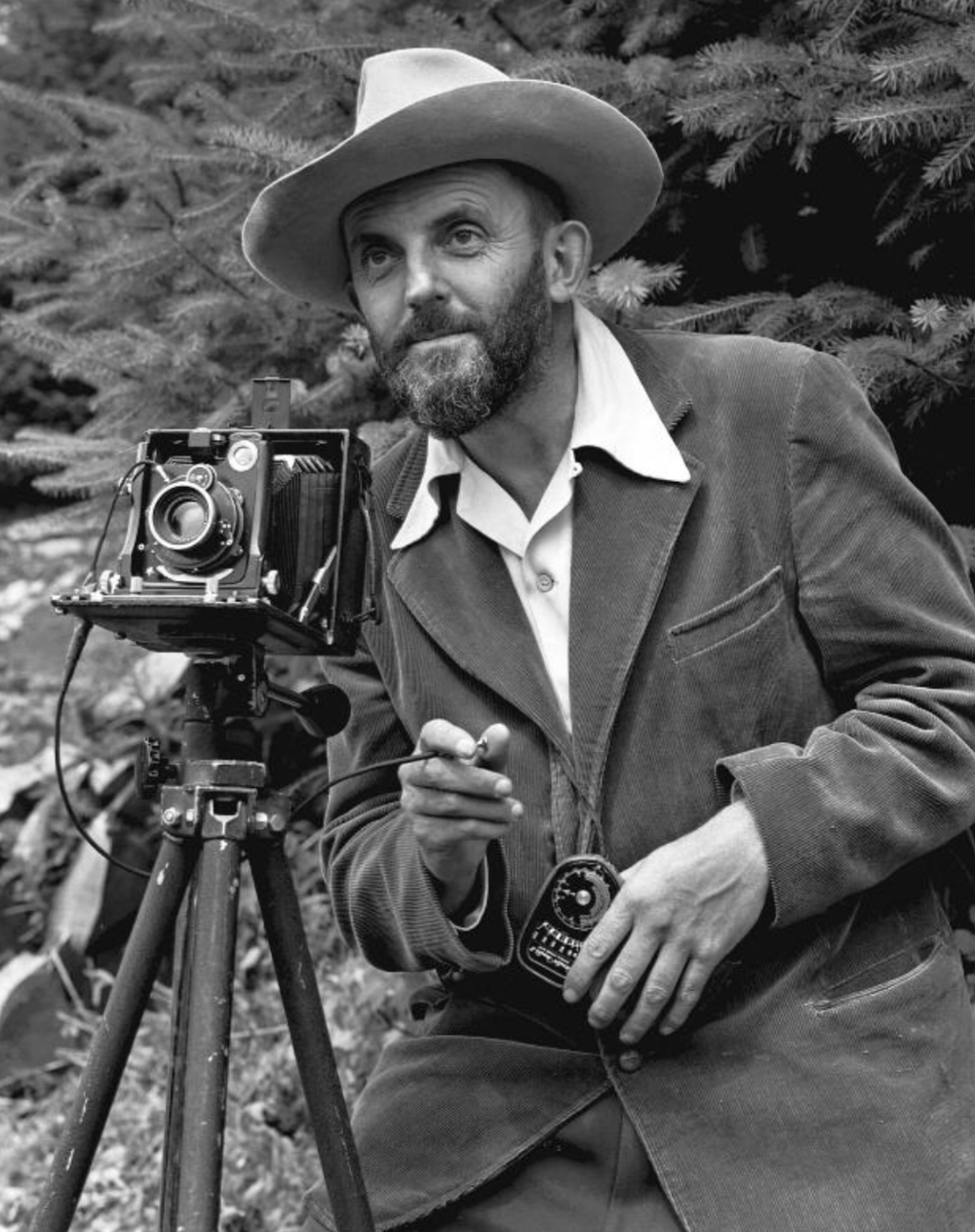 America the Beautiful: How Ansel Adams Designed His Landmark Landscapes ...