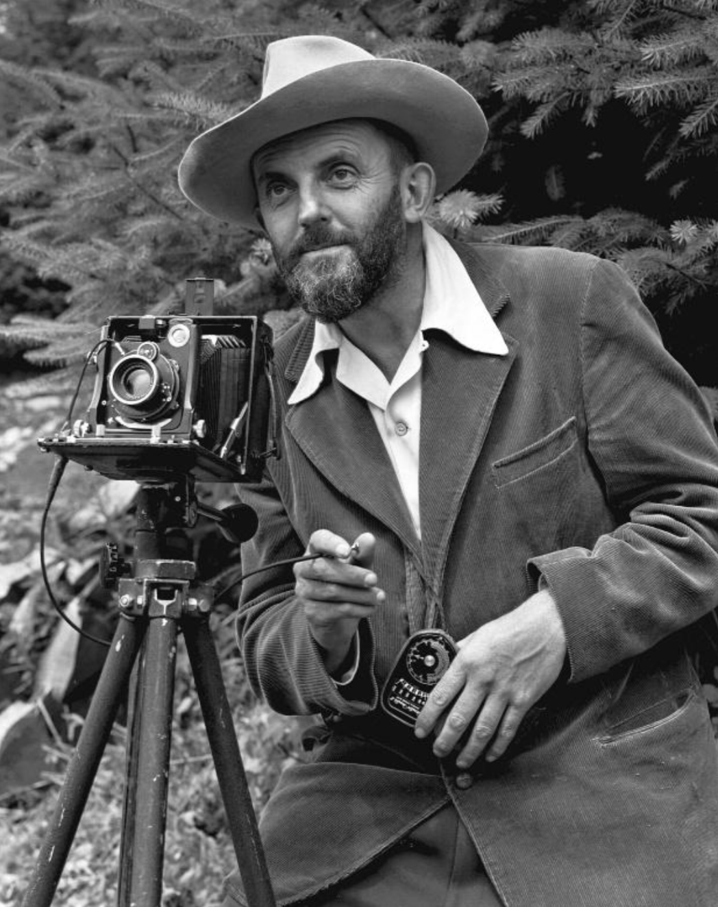 America the Beautiful: How Ansel Adams Designed His Landmark Landscapes ...