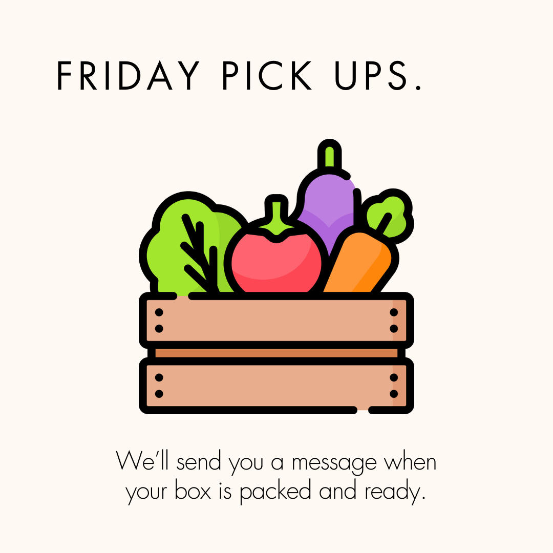 Organic Basics Box — Nom Bulk Foods + The Edit