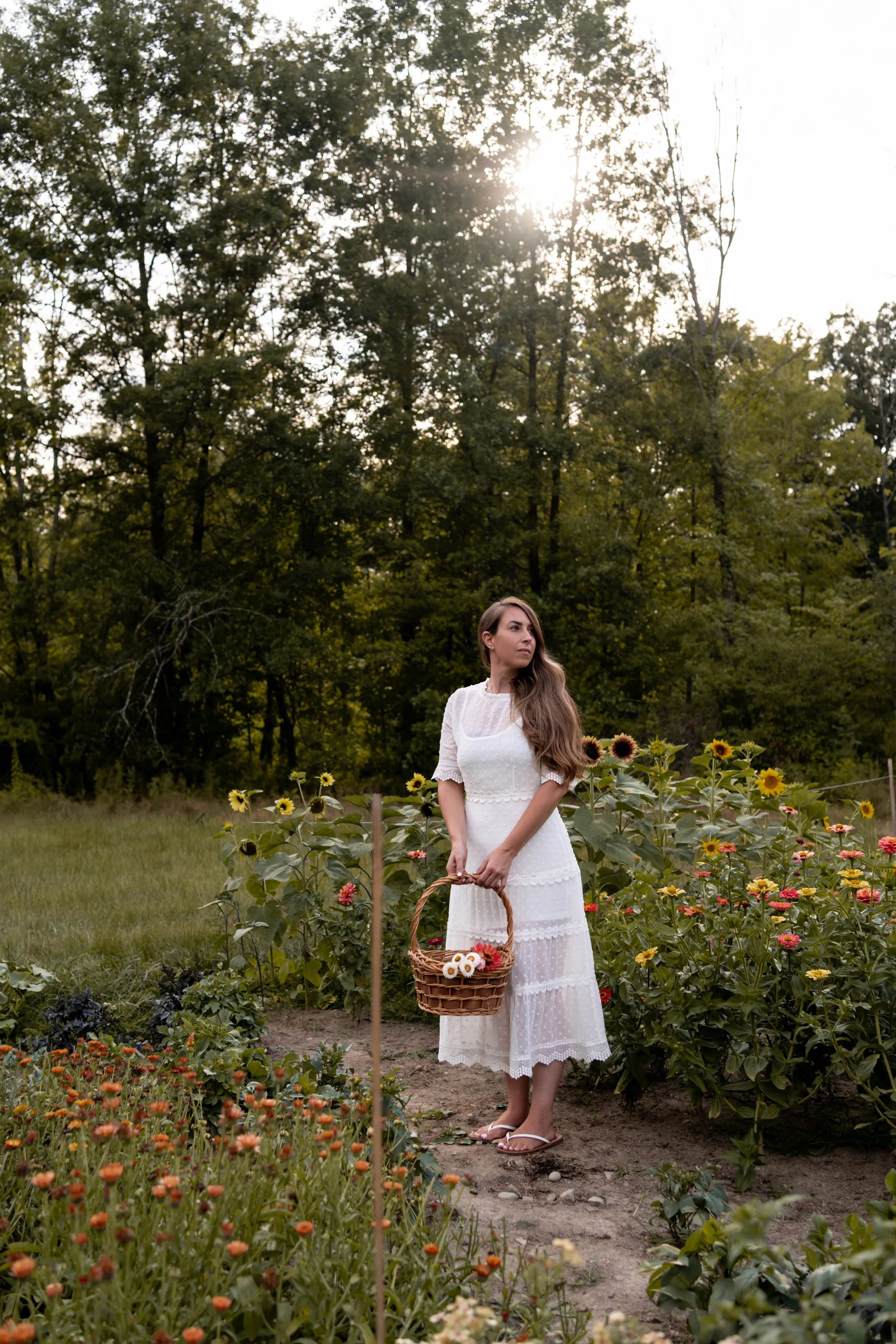 About — Rachel Calvelli