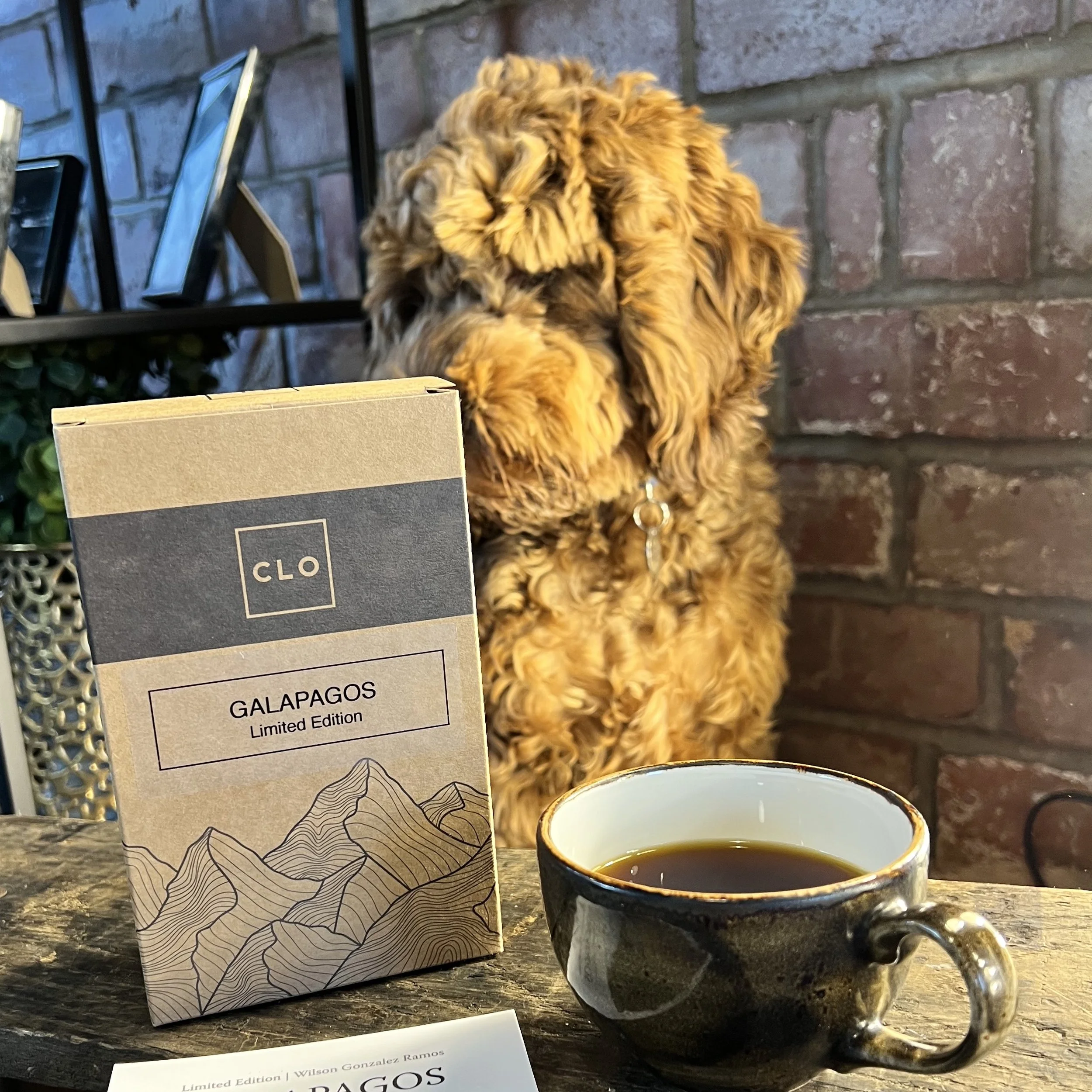 Shop — CLO Coffee
