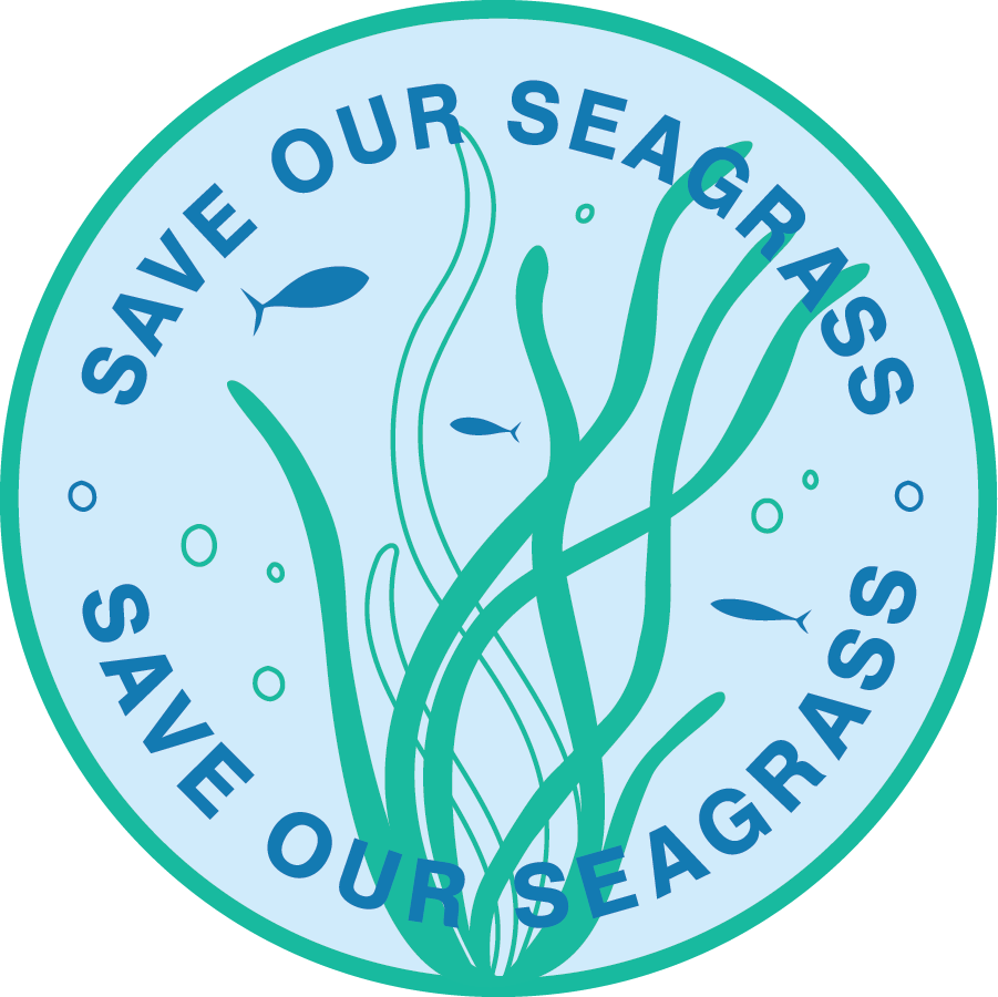 Fishers Island Gallery — Save Our Seagrass
