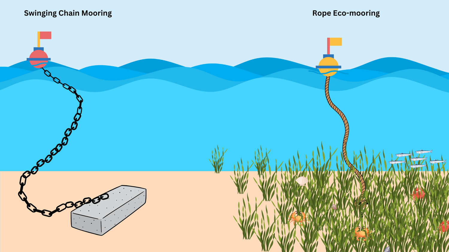 Eco-moorings at Fishers Island — Save Our Seagrass