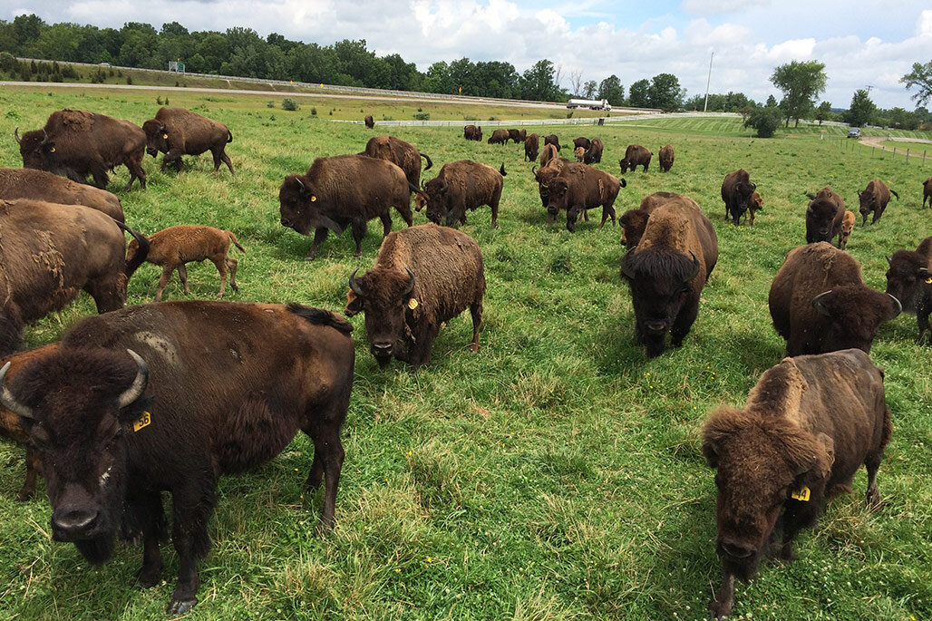 About Domino's Farms — Domino's Farms Office Park