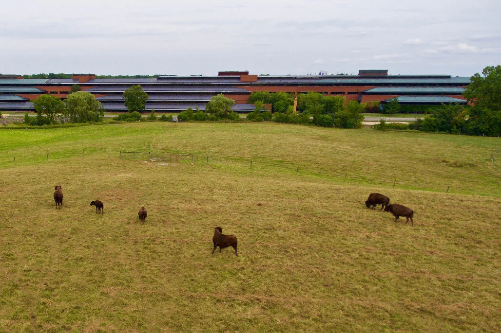 About Domino's Farms — Domino's Farms Office Park