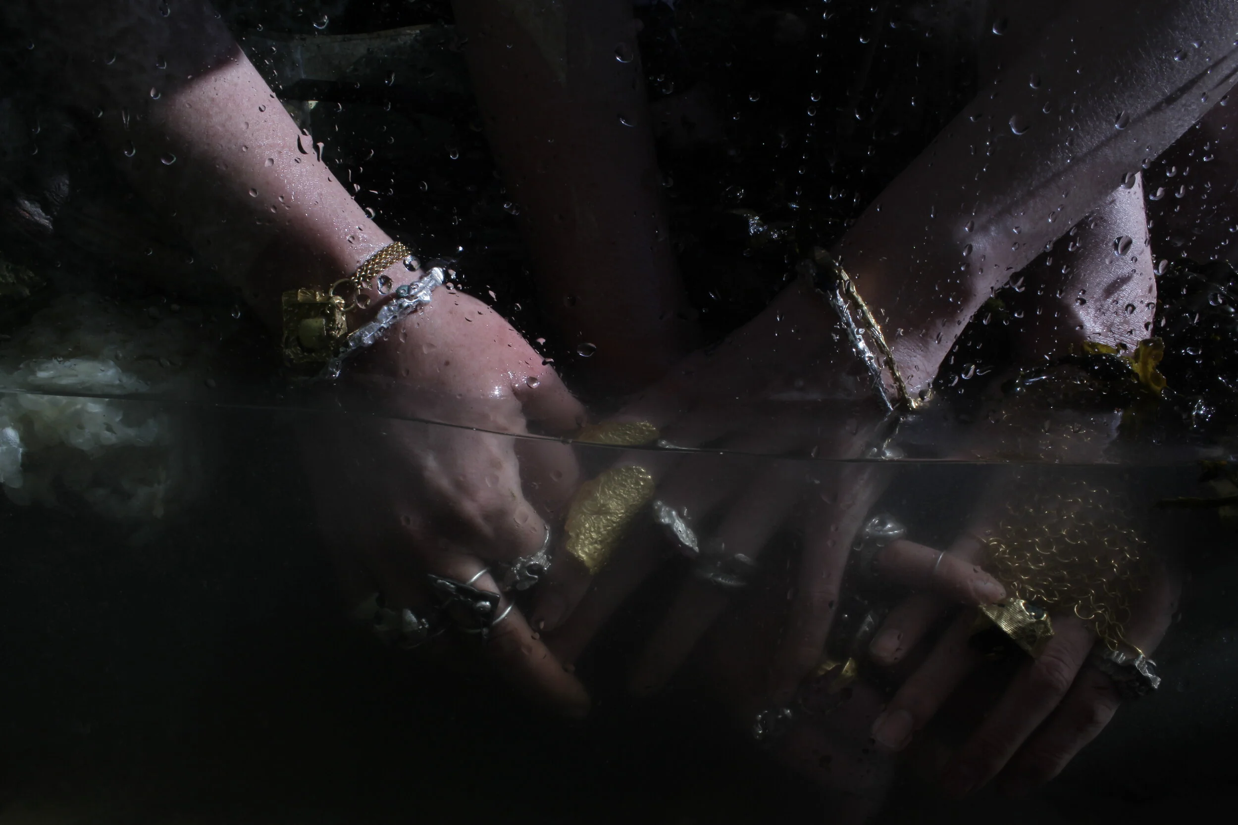 Southern Siren — JAYNE FOWLER