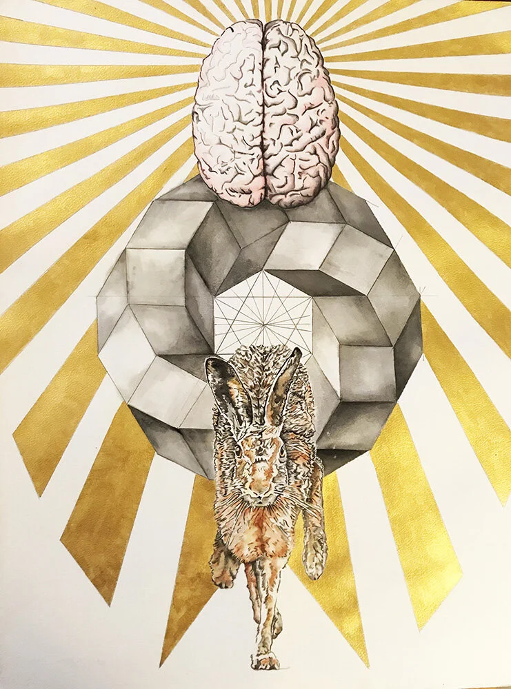 Katherine Binder Art