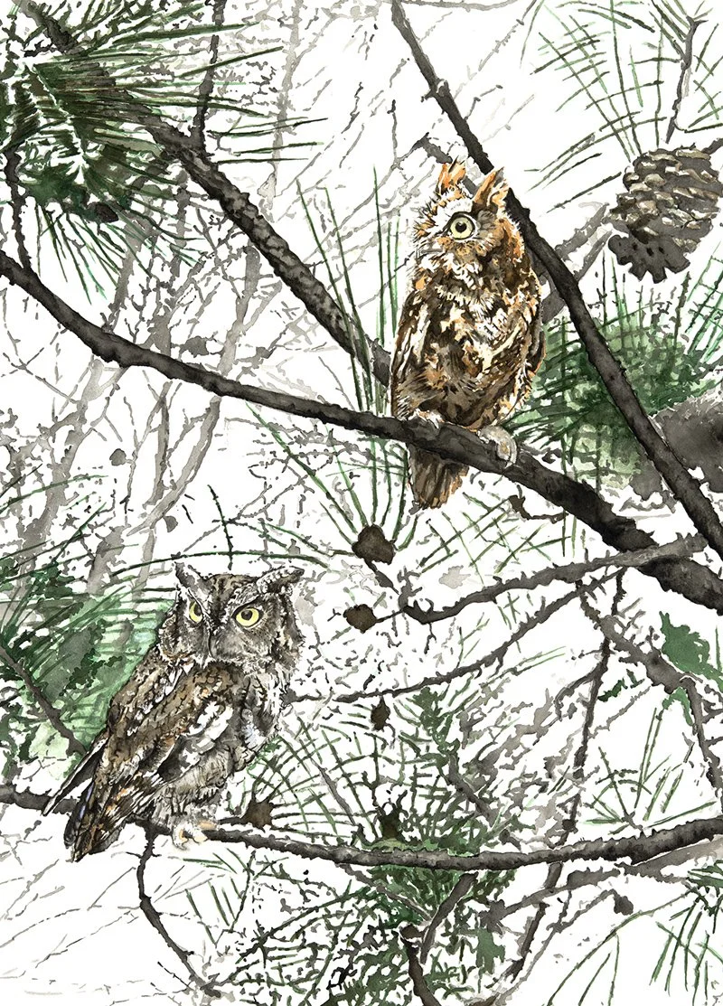 Katherine Binder Art