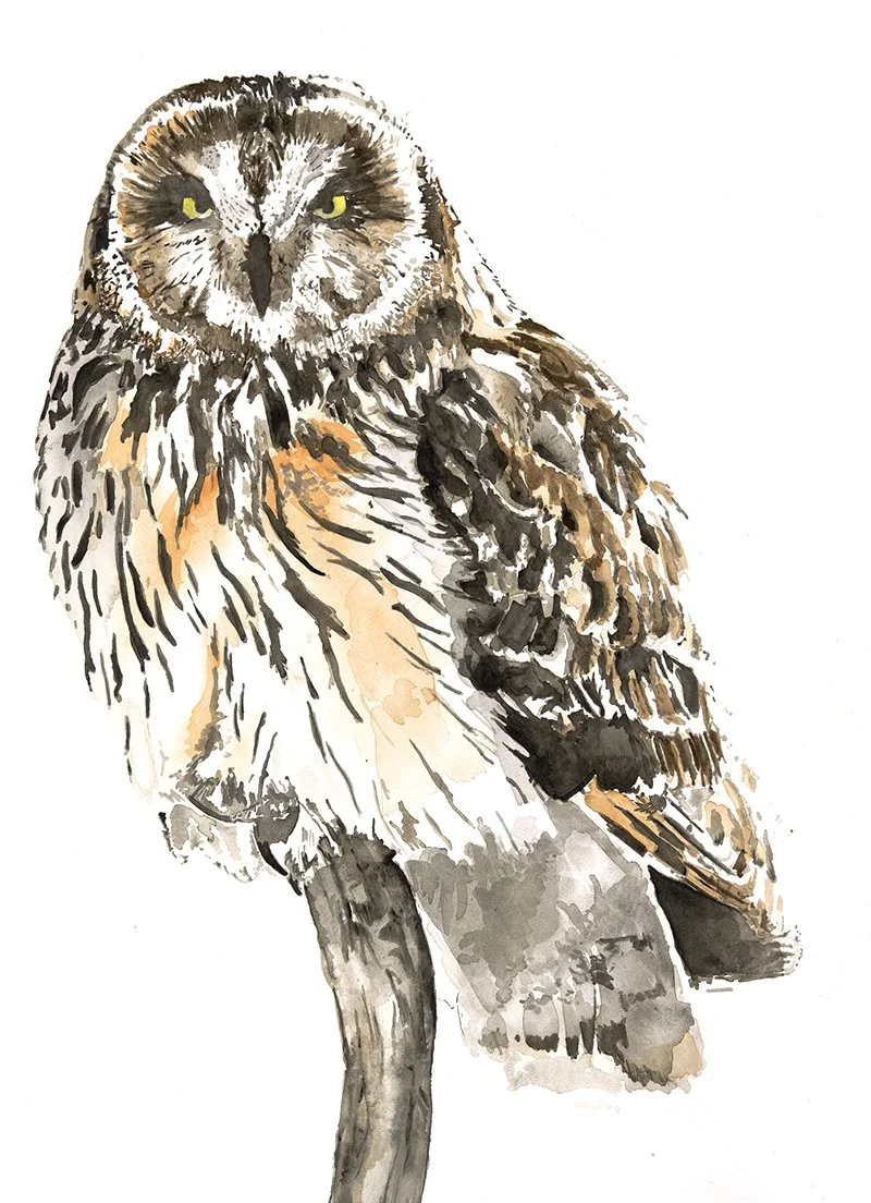 Katherine Binder Art