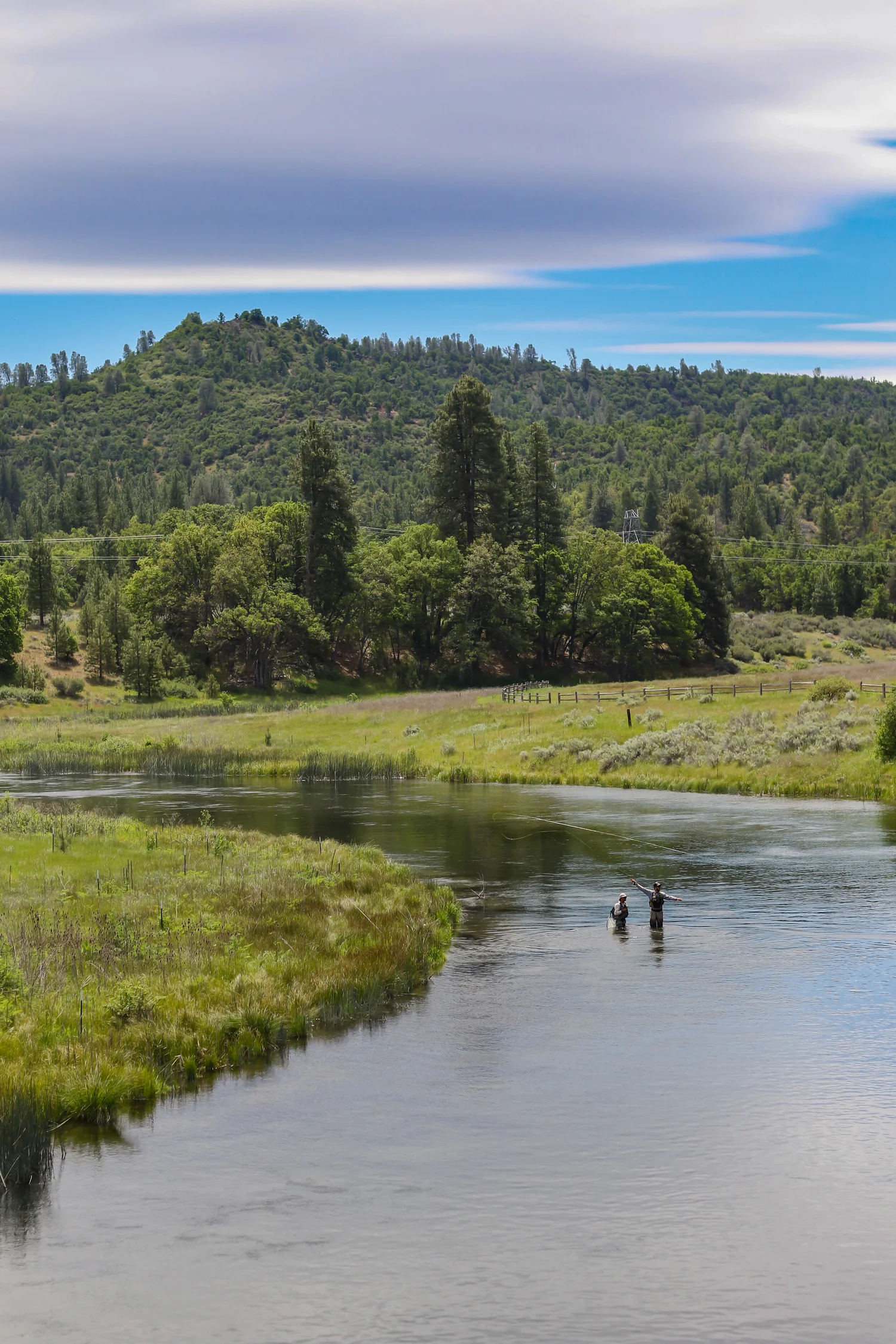 Guided Fly Fishing Trips in Northern California near Redding, Sac, San ...