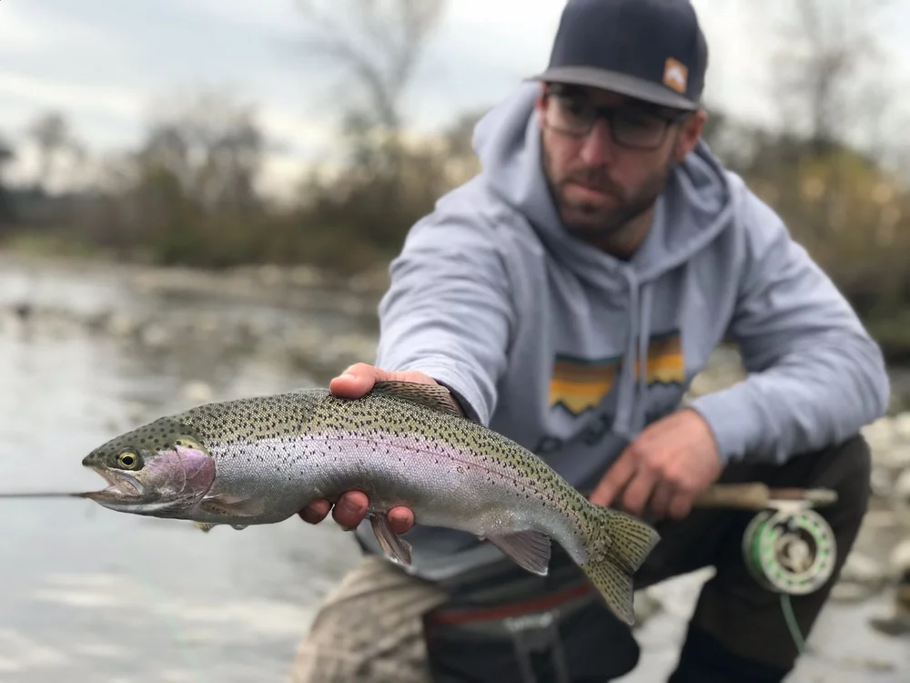 Northern California Fly Fishing Report | Lower Sacramento, Trinity, Putah, Truckee, Trout ...