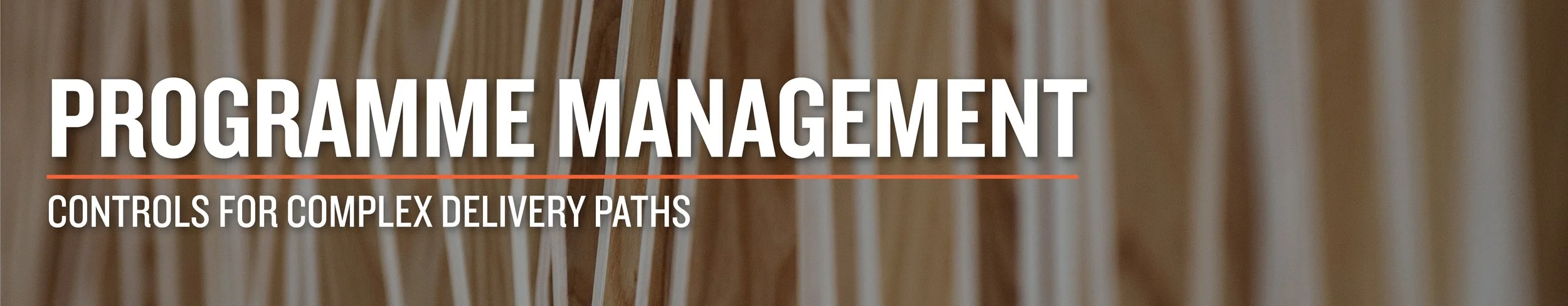 Programme Management | The Building Intelligence Group | Independent ...