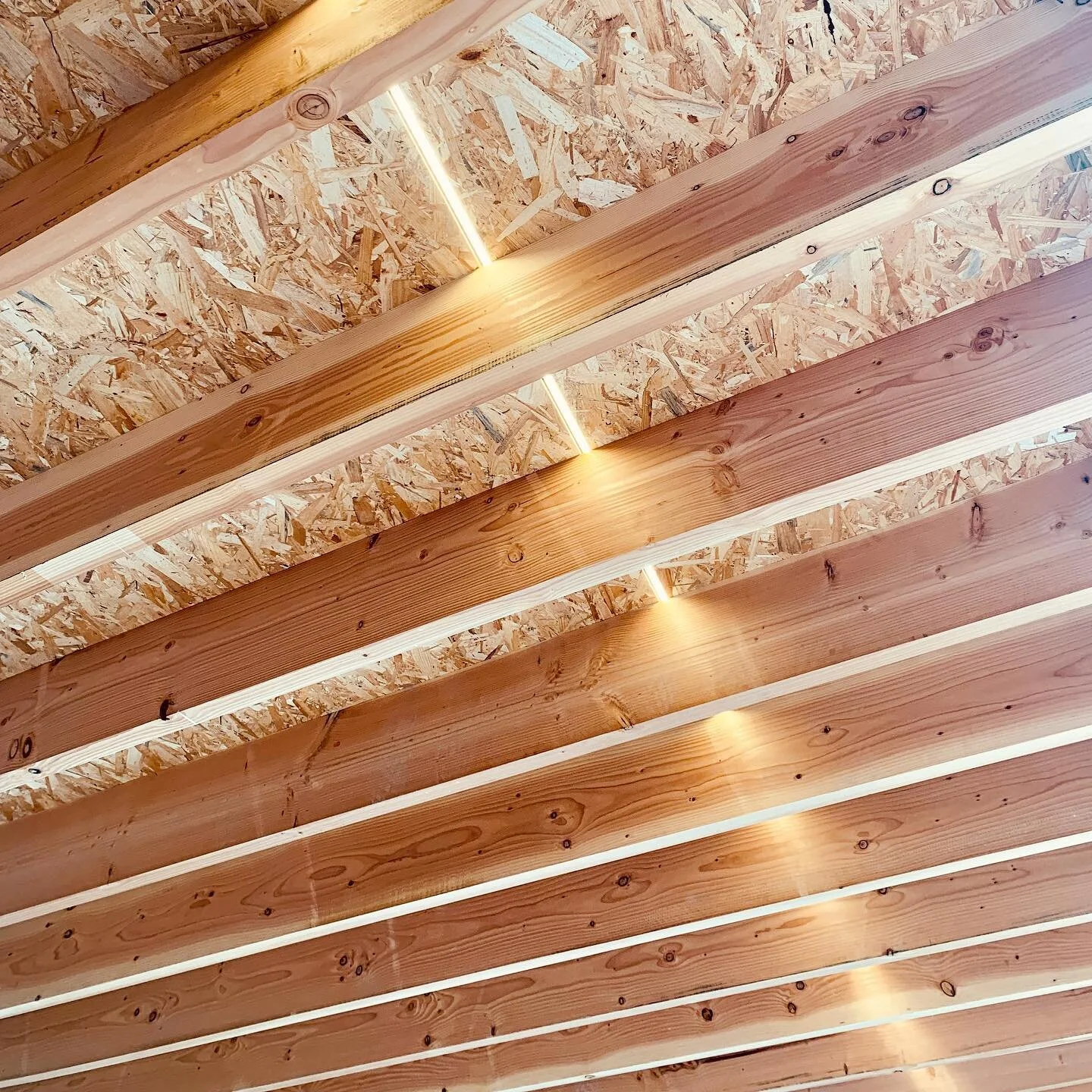 BLOG — Architecten Rabaut te Diksmuide