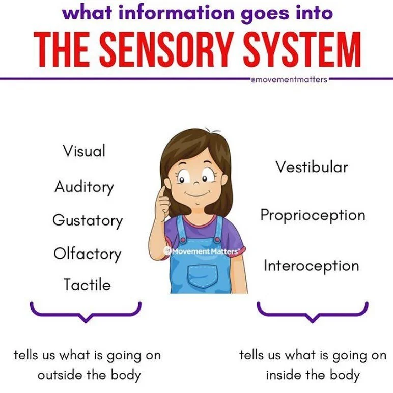 Autism OT Resources Sensory System St Ultans School