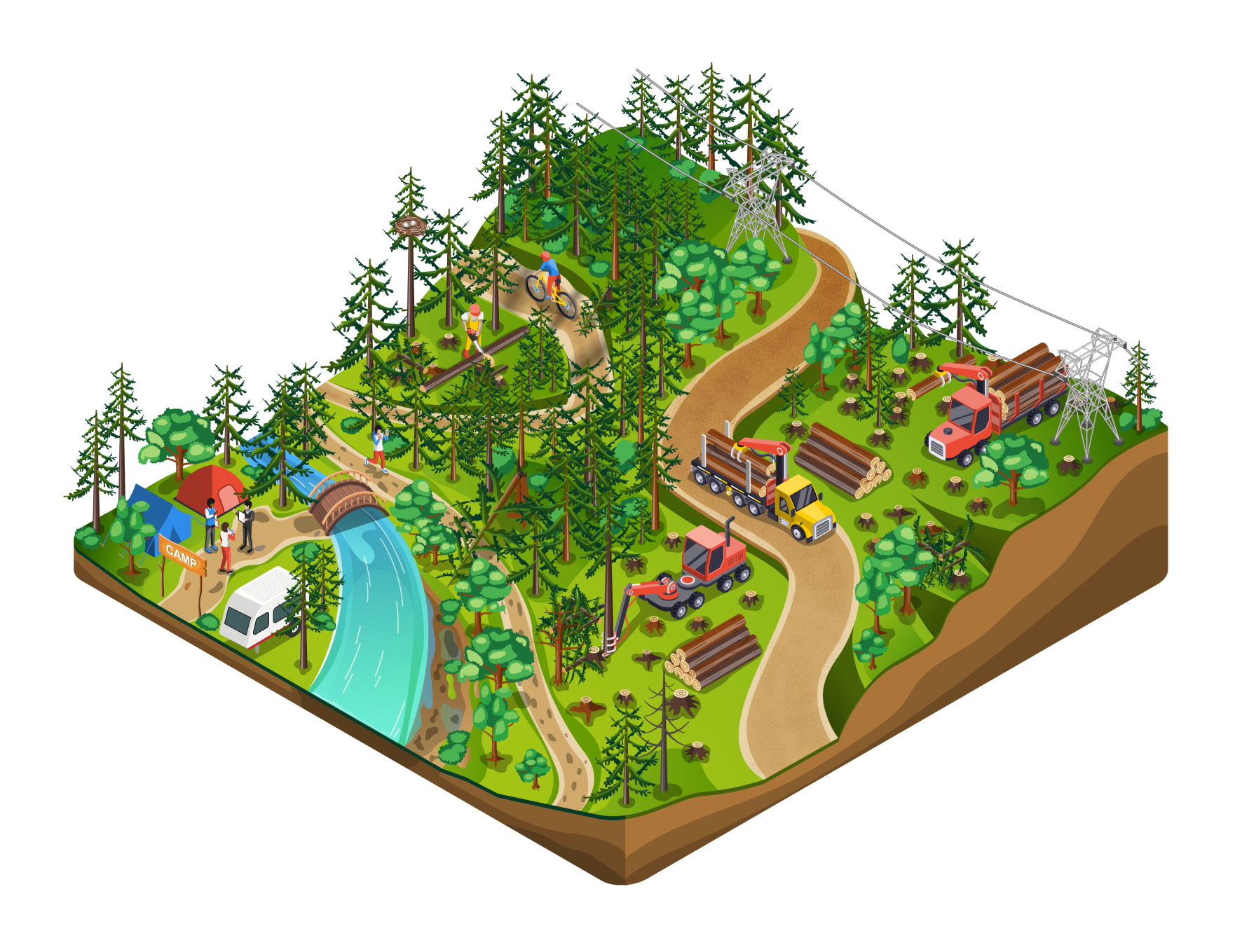 Focus on Forestry First