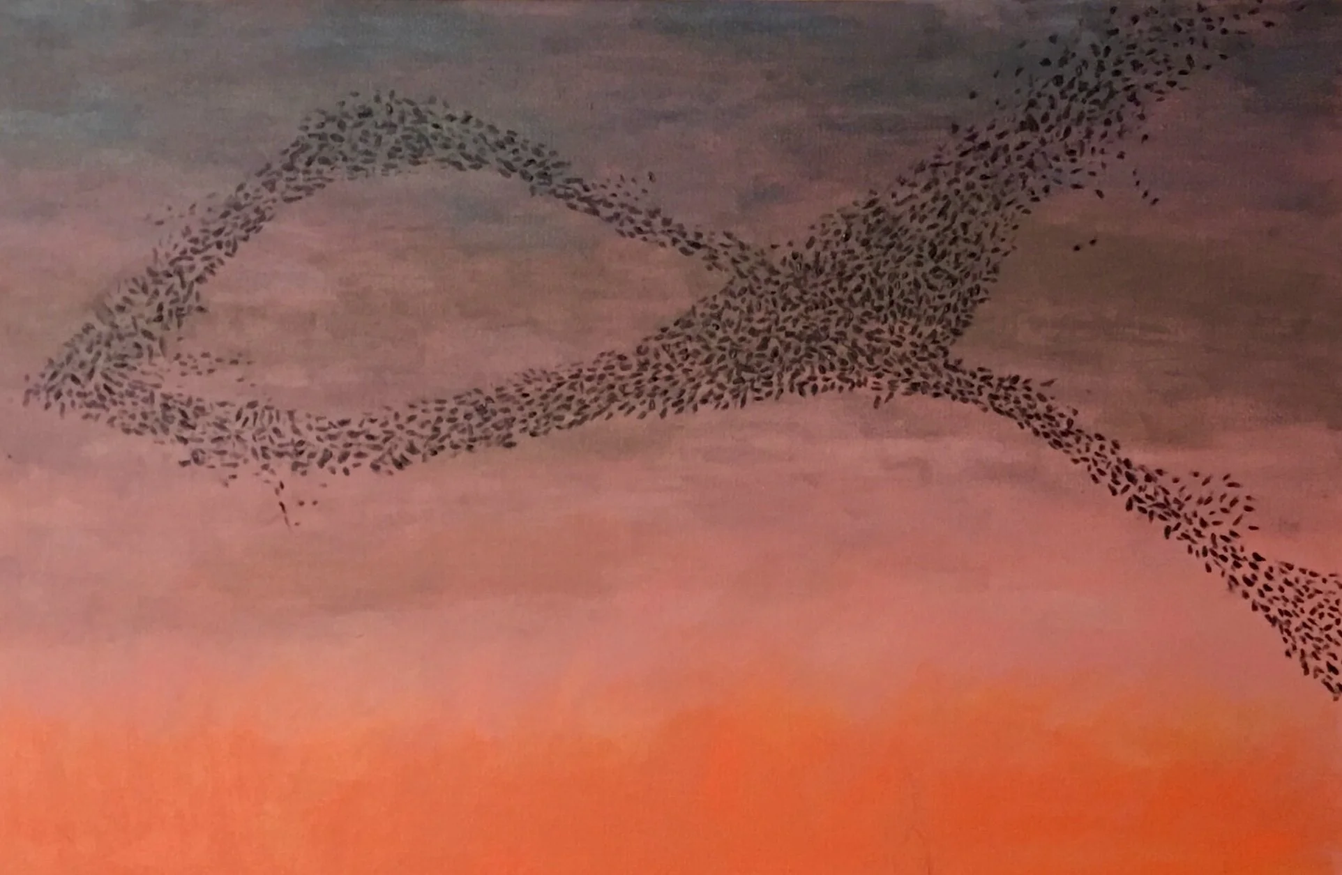 Pamela Tudor — DVAA