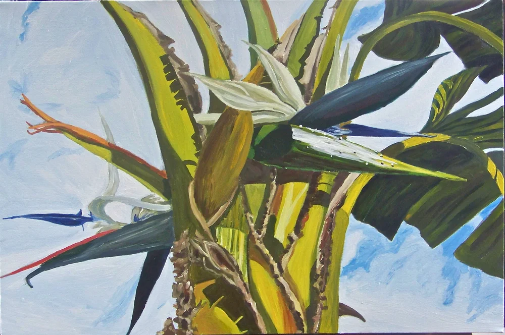 Daniel Neufeld — DVAA