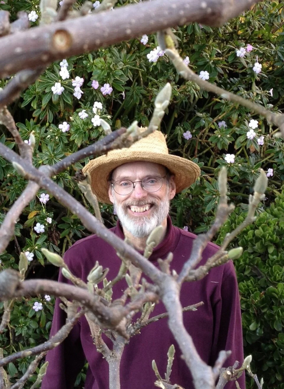 David Meade Walker Retrospective — Da Vinci Art Alliance