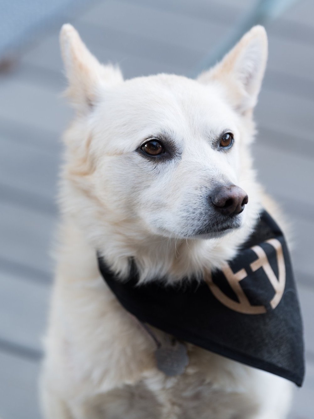 General 2 — Hoopes Vineyard