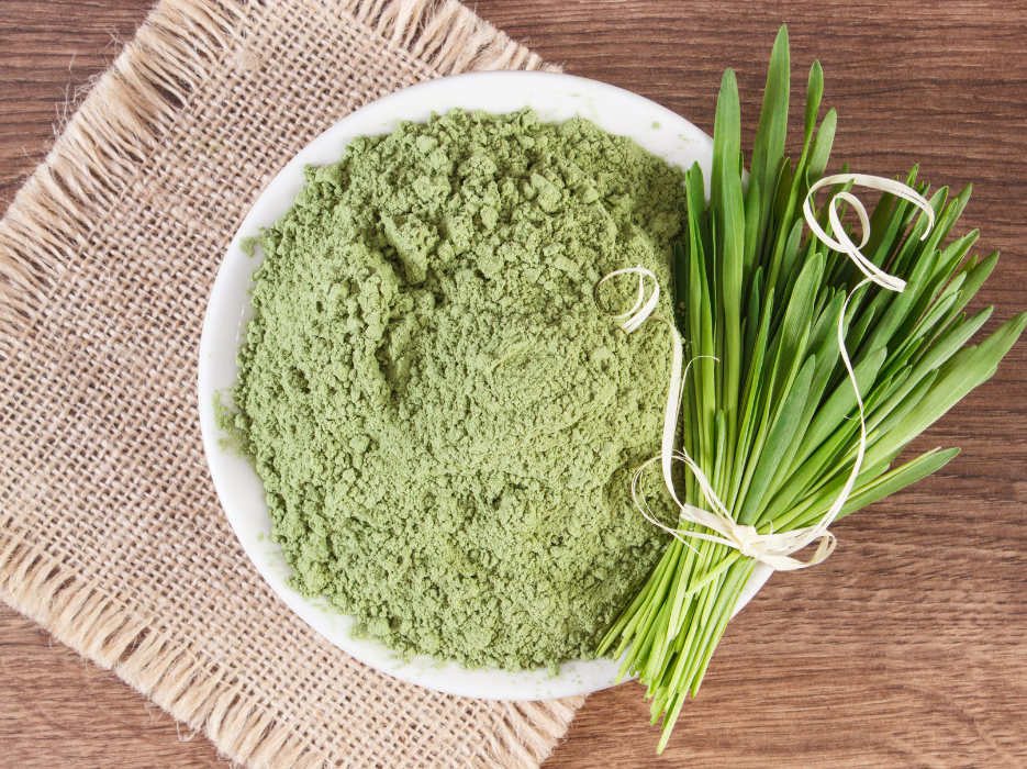 Wheatgrass 101 — Consumer Products Association