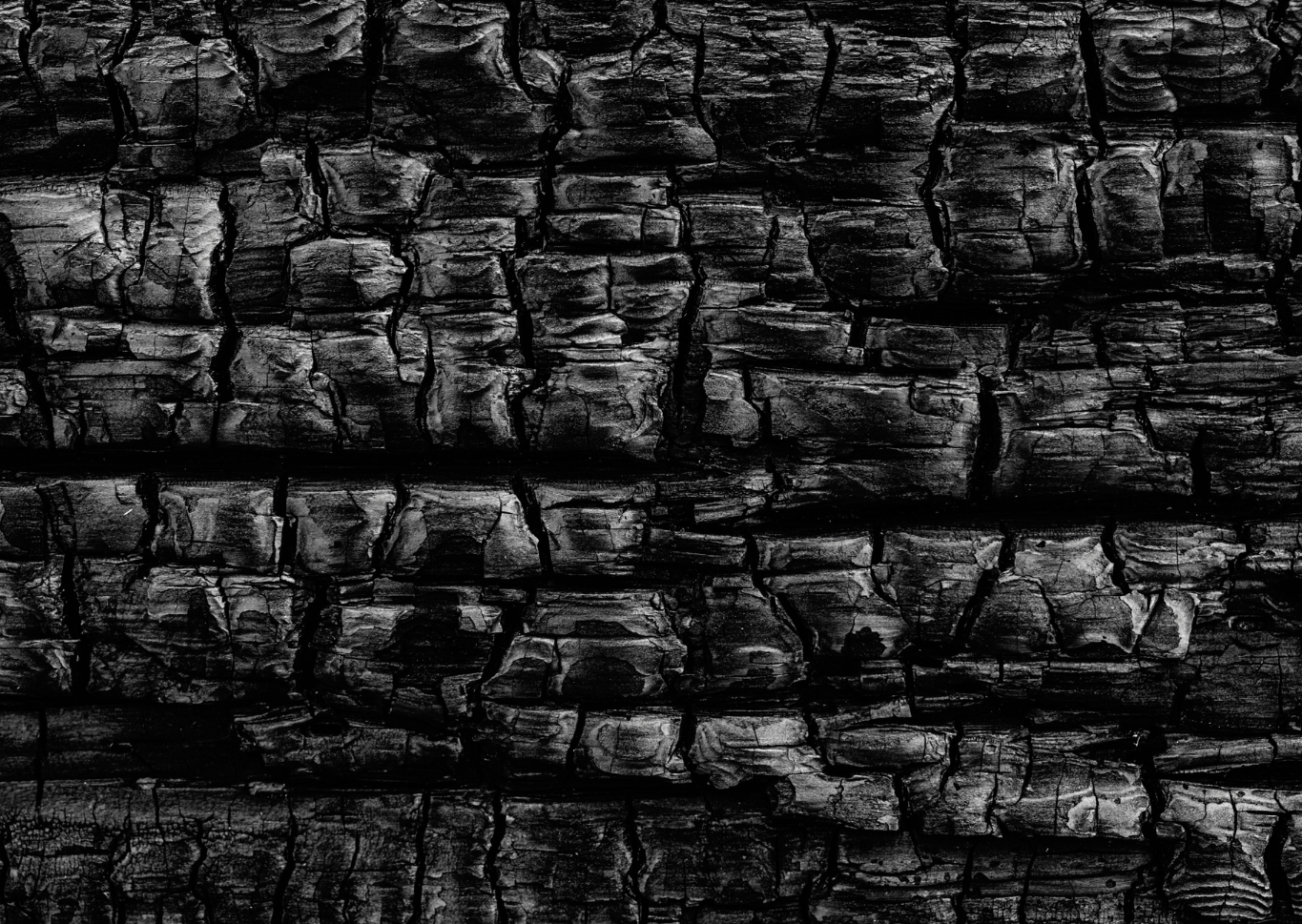 Let’s talk about Bone Char. — Consumer Products Association